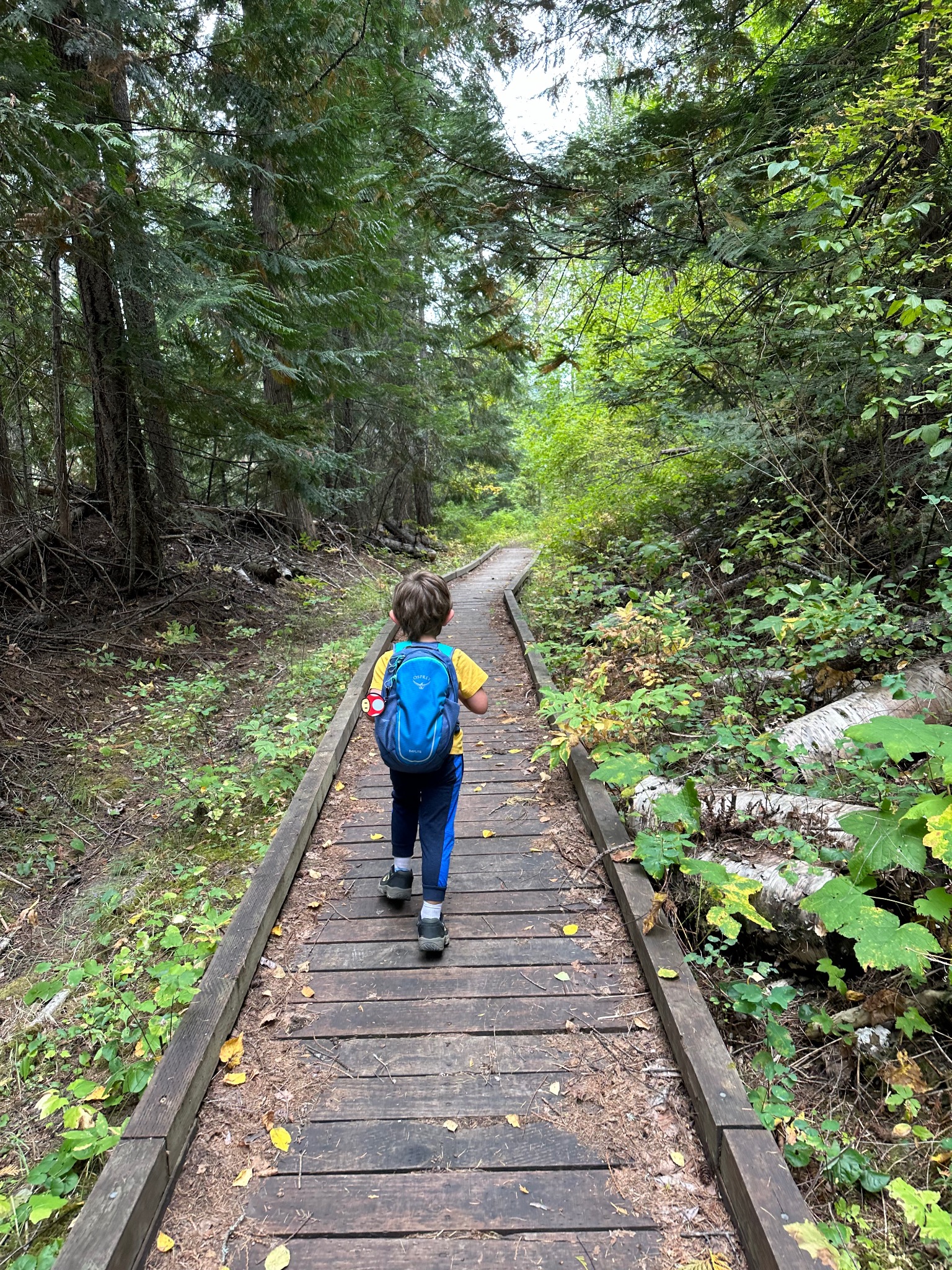 Phillip | Junior Ranger