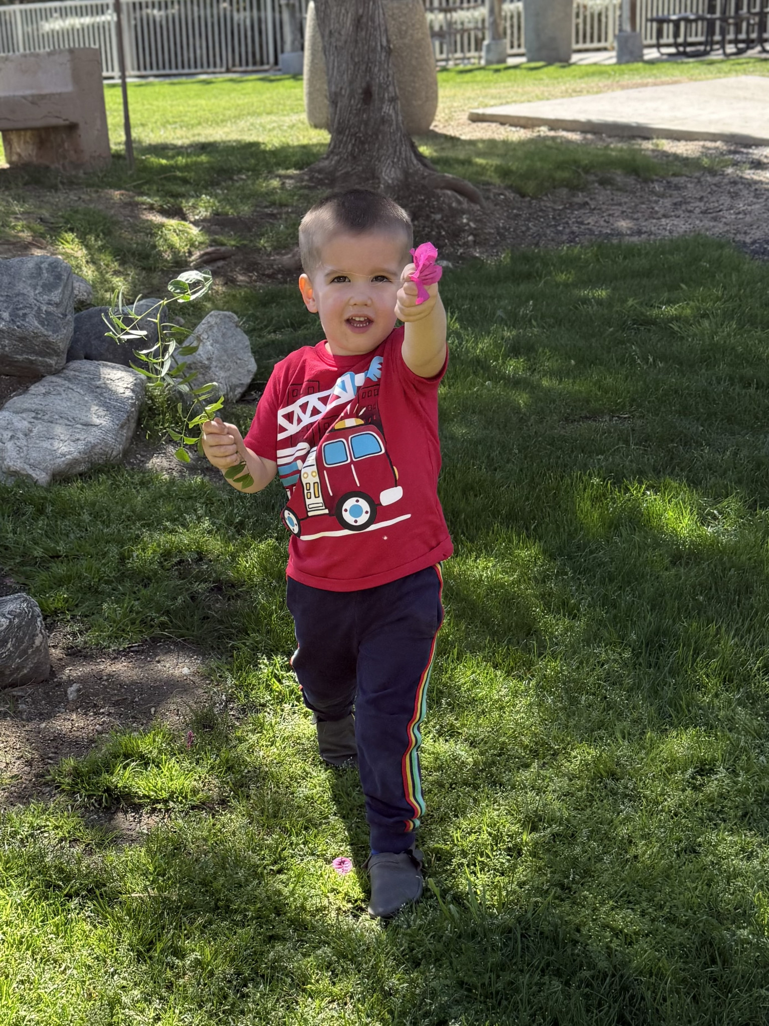 Zander | Junior Ranger