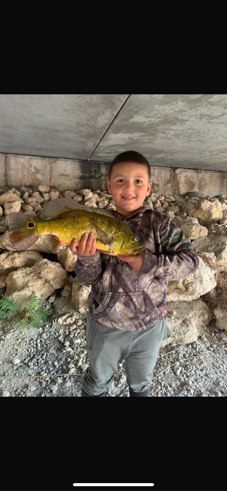 Angelo | Junior Ranger