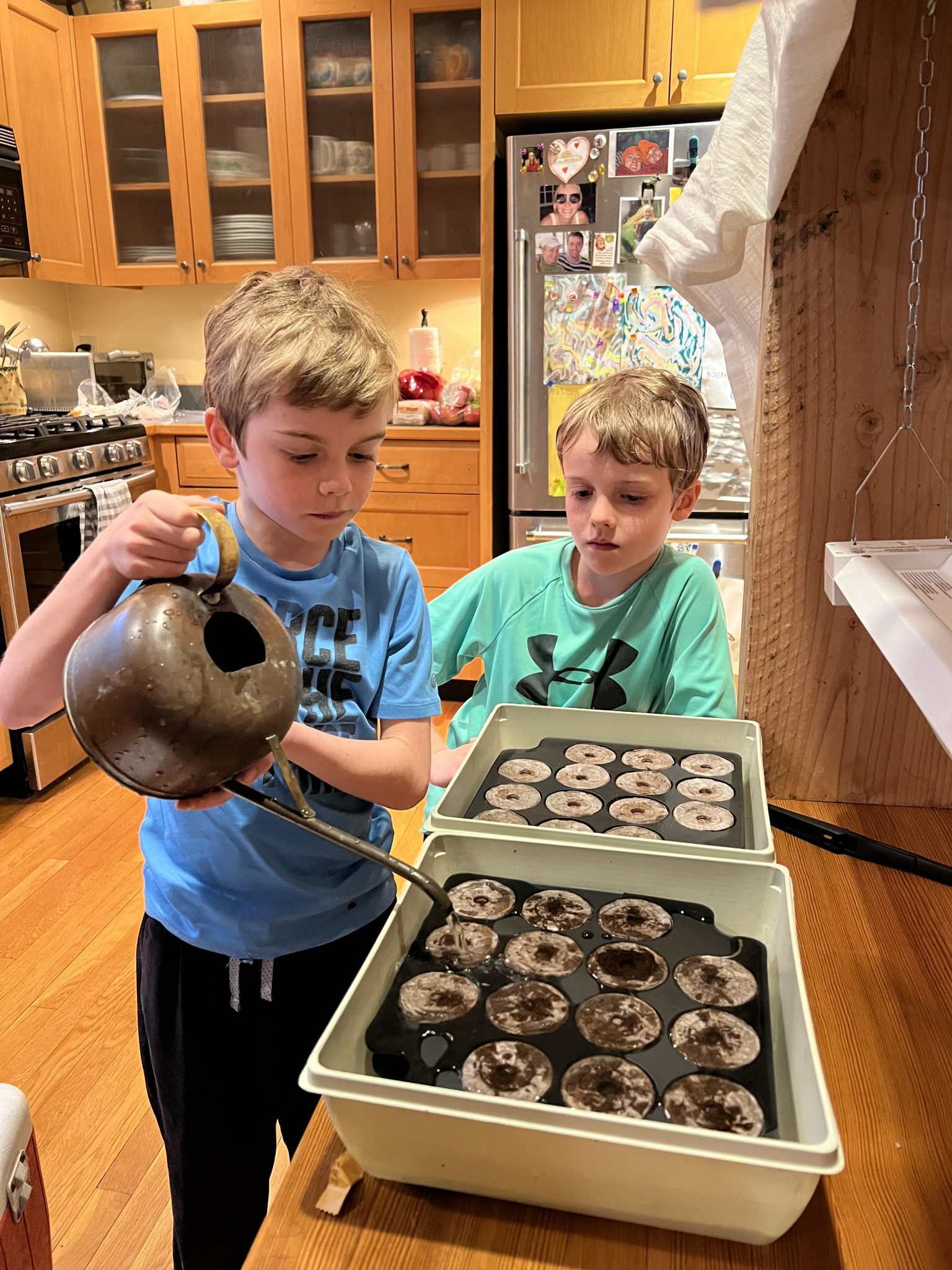 Ericson | Junior Ranger