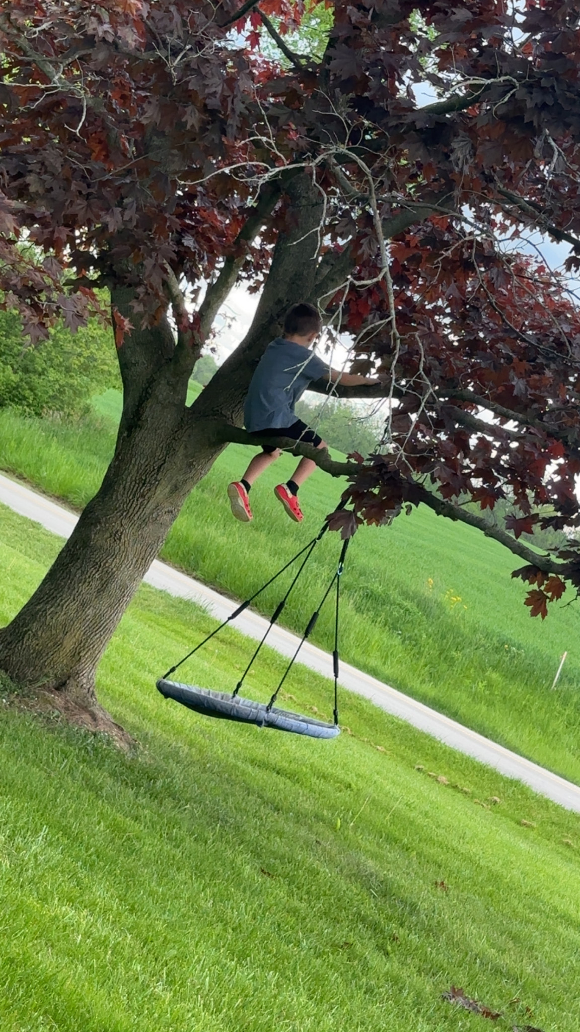 Bryson | Junior Ranger