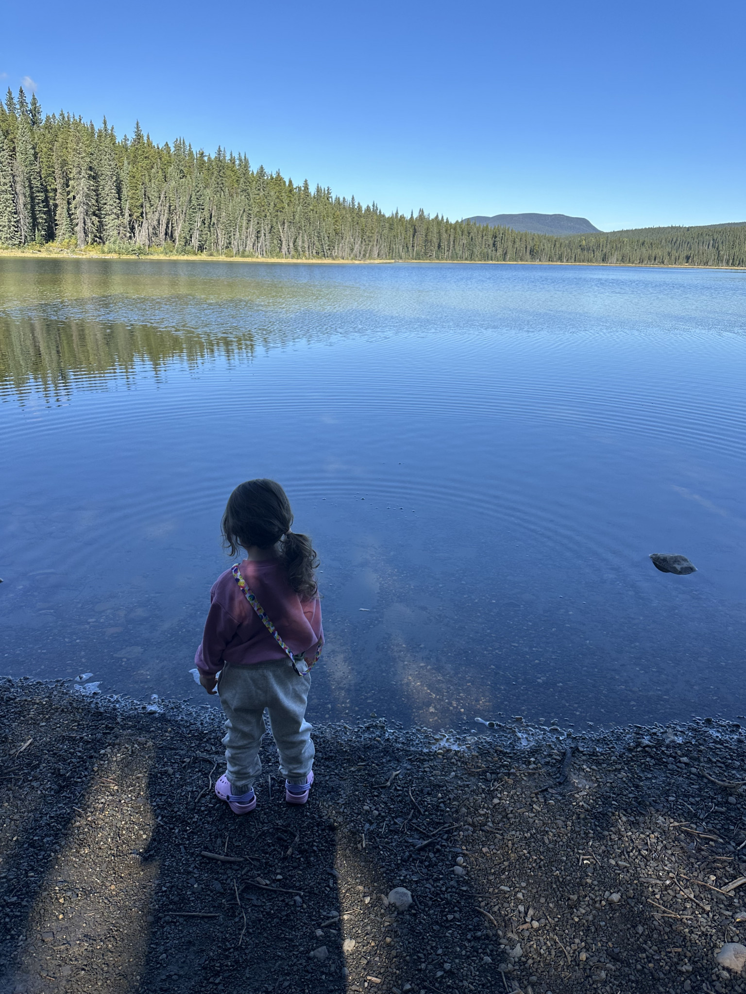 Molly | Junior Ranger