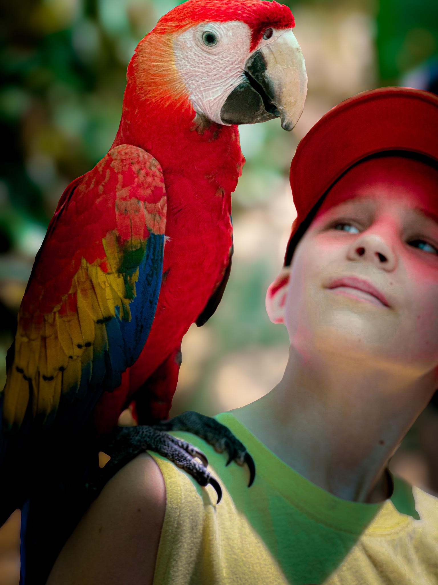 Jonah | Junior Ranger