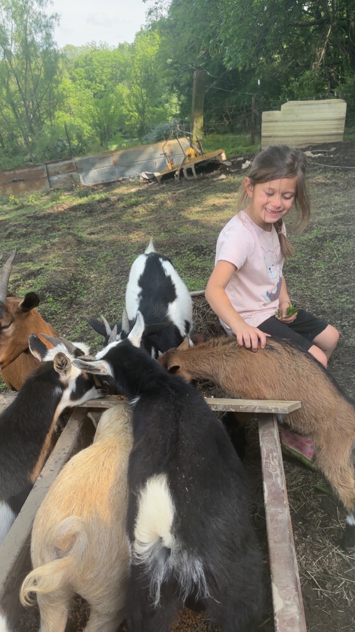 Sadie | Junior Ranger