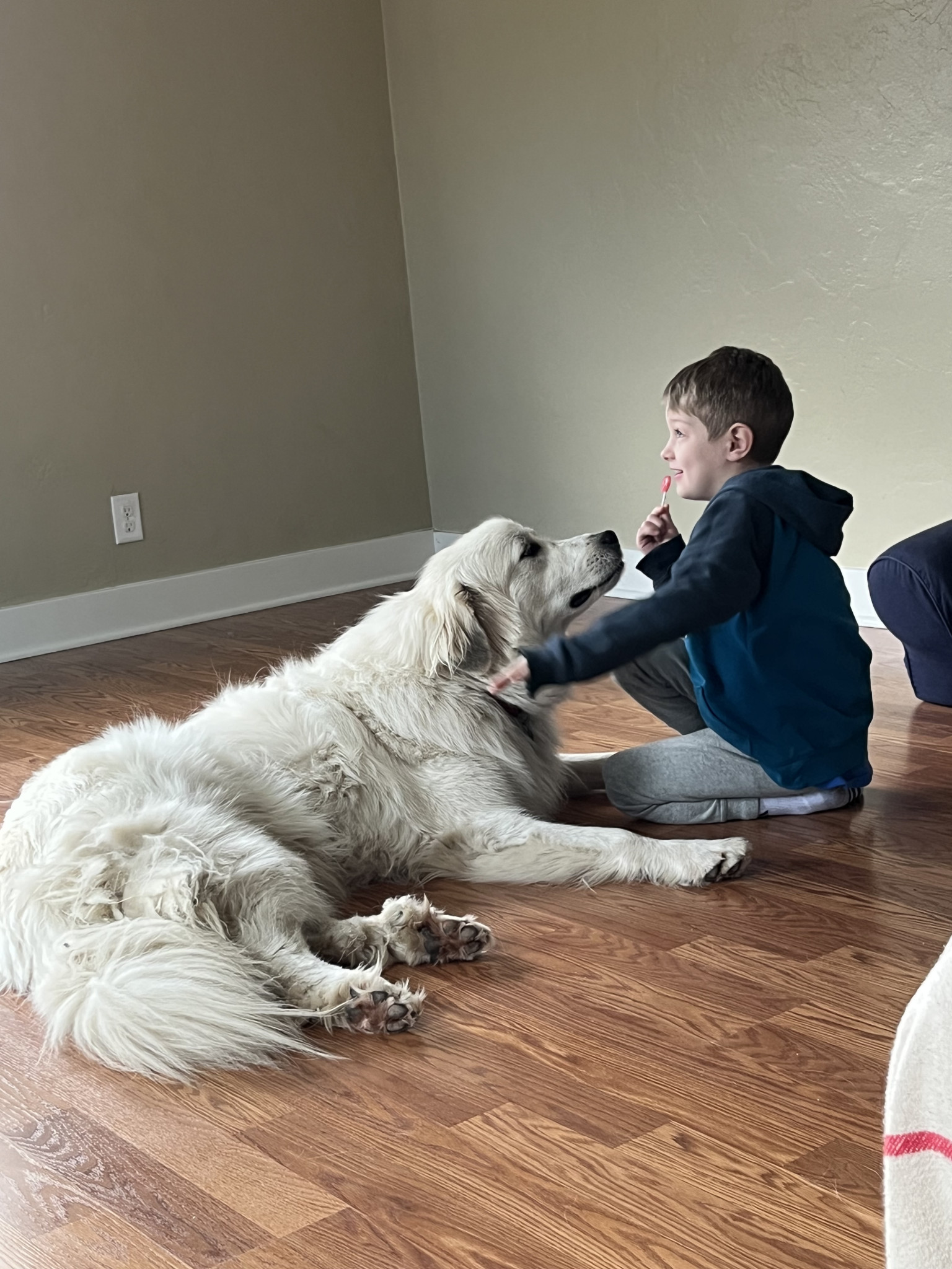 Logan | Junior Ranger