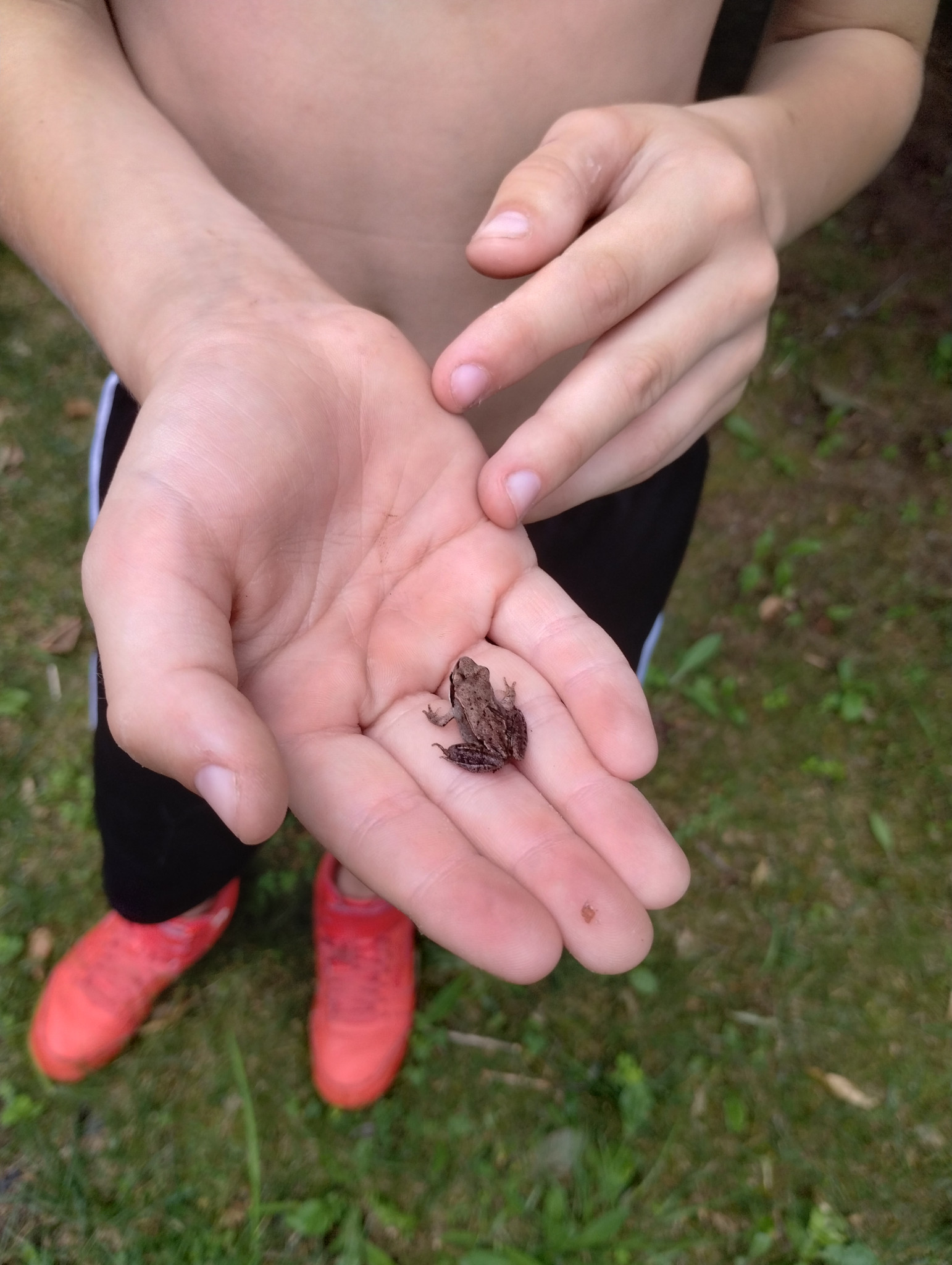 Dylan | Junior Ranger