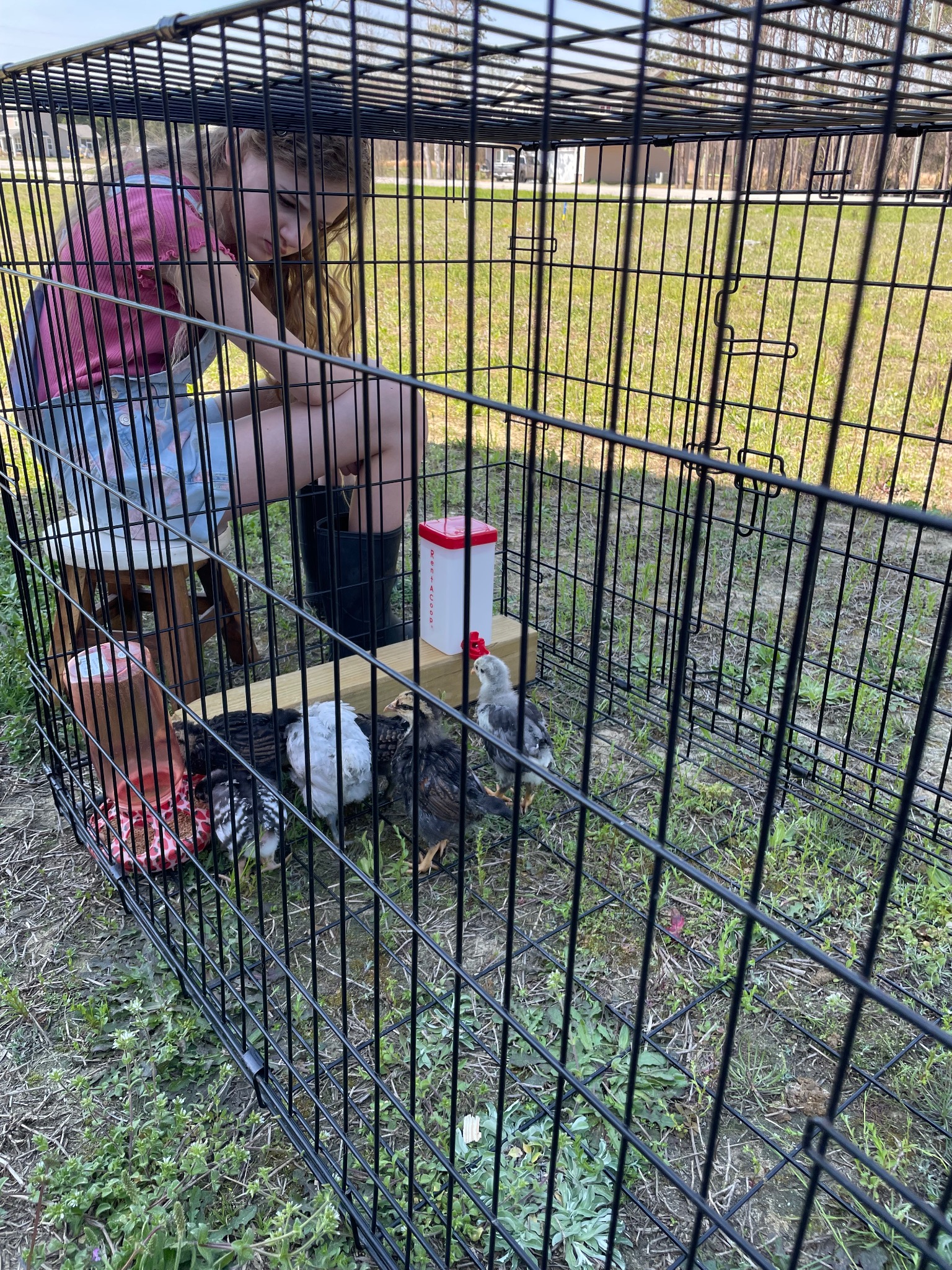 Hannah | Junior Ranger