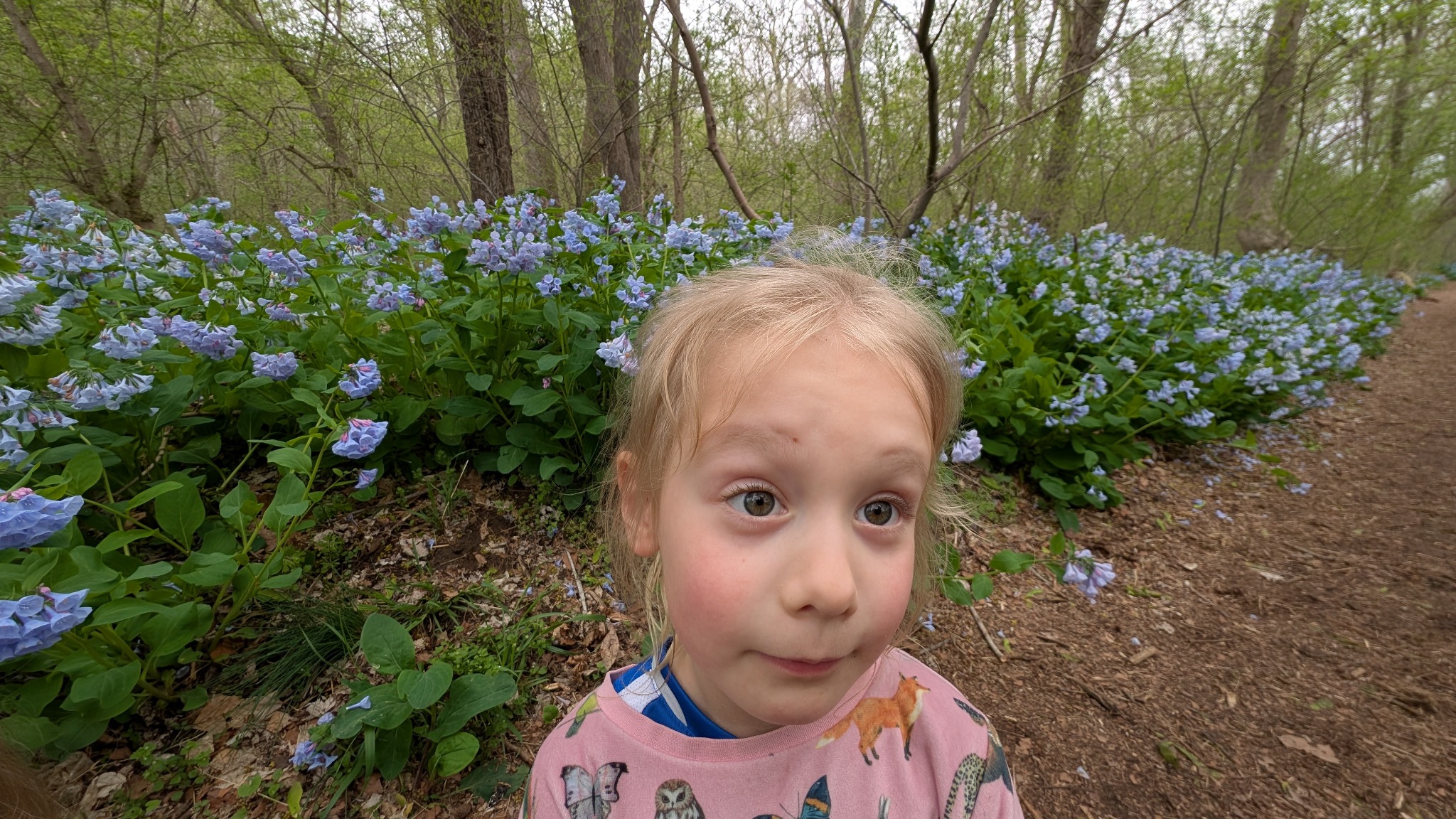 Juniper | Junior Ranger