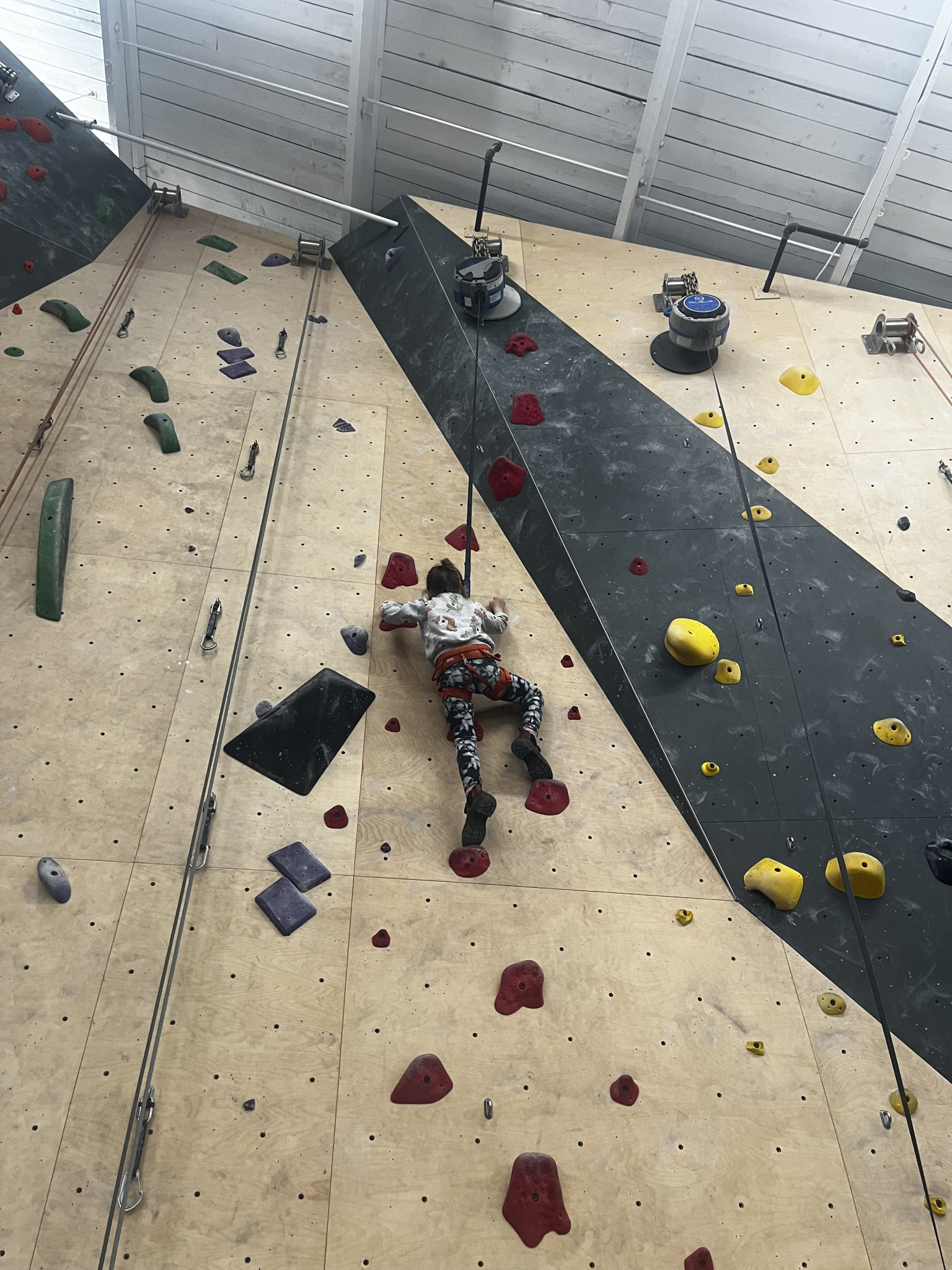 William | Junior Ranger