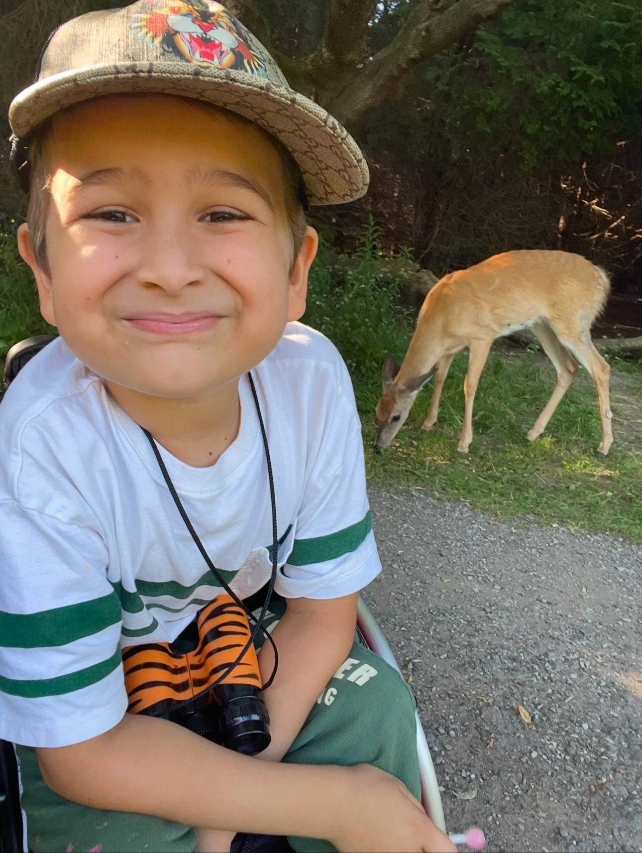 Roman | Junior Ranger