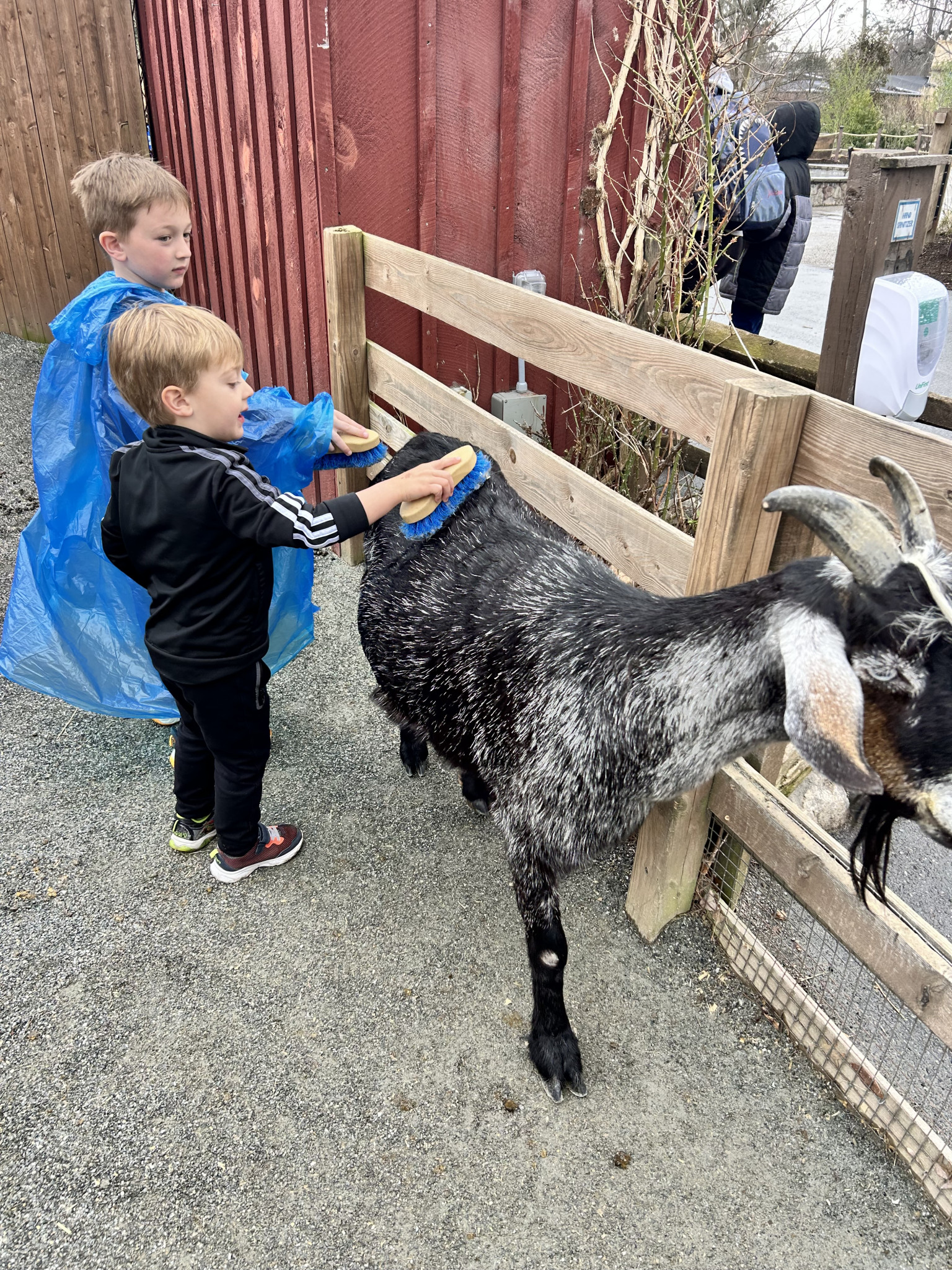 Milo | Junior Ranger