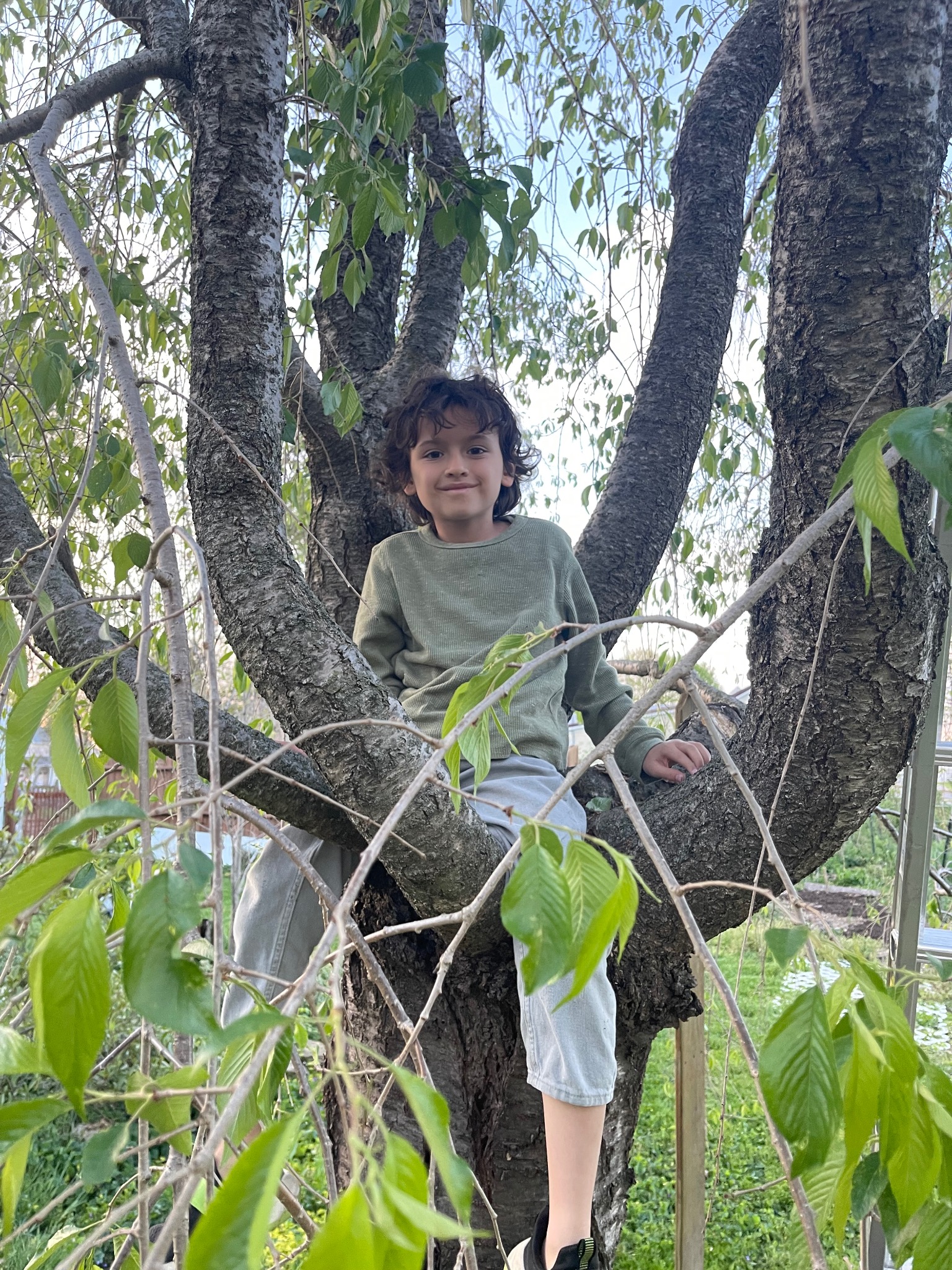 Ben | Junior Ranger