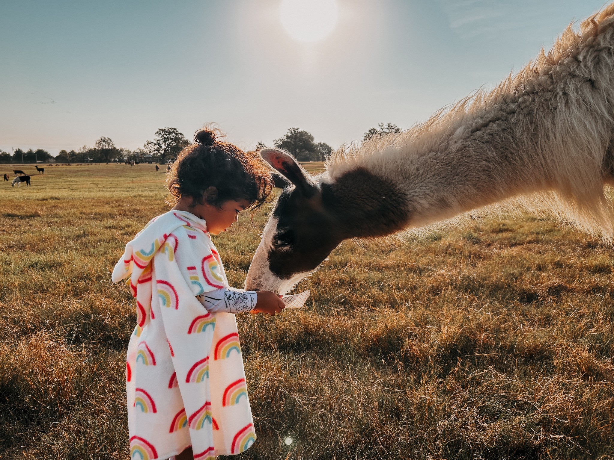 Olivia | Junior Ranger