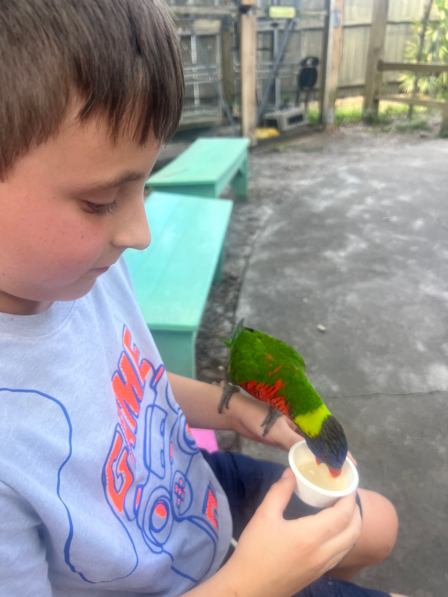 Mason | Junior Ranger