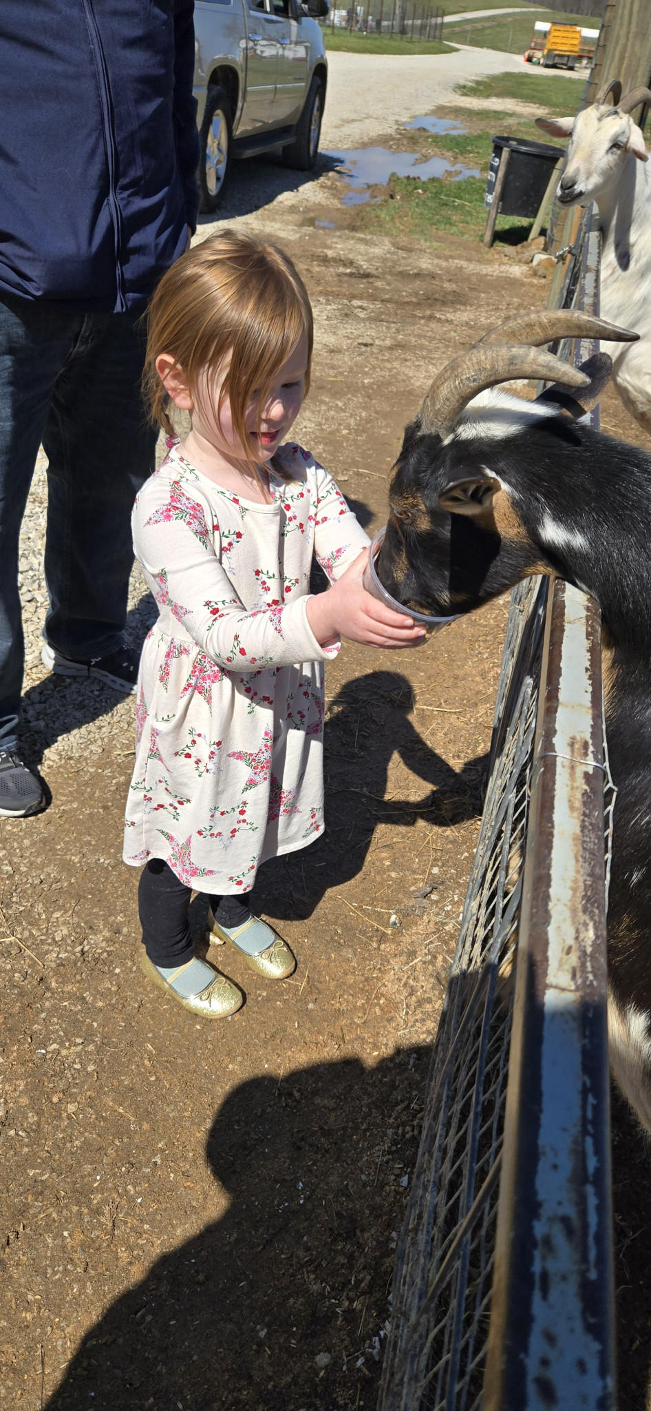 Caroline | Junior Ranger