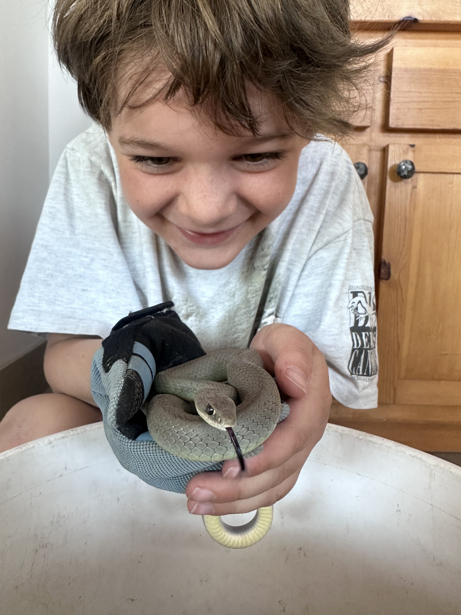 Forrest | Junior Ranger