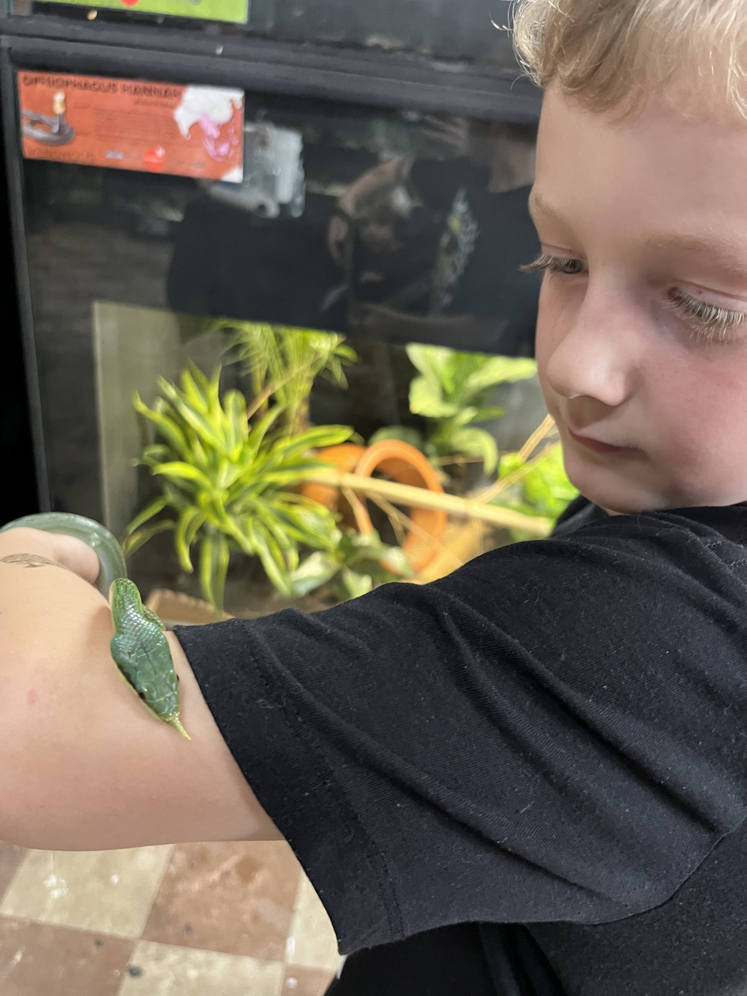 Owen | Junior Ranger