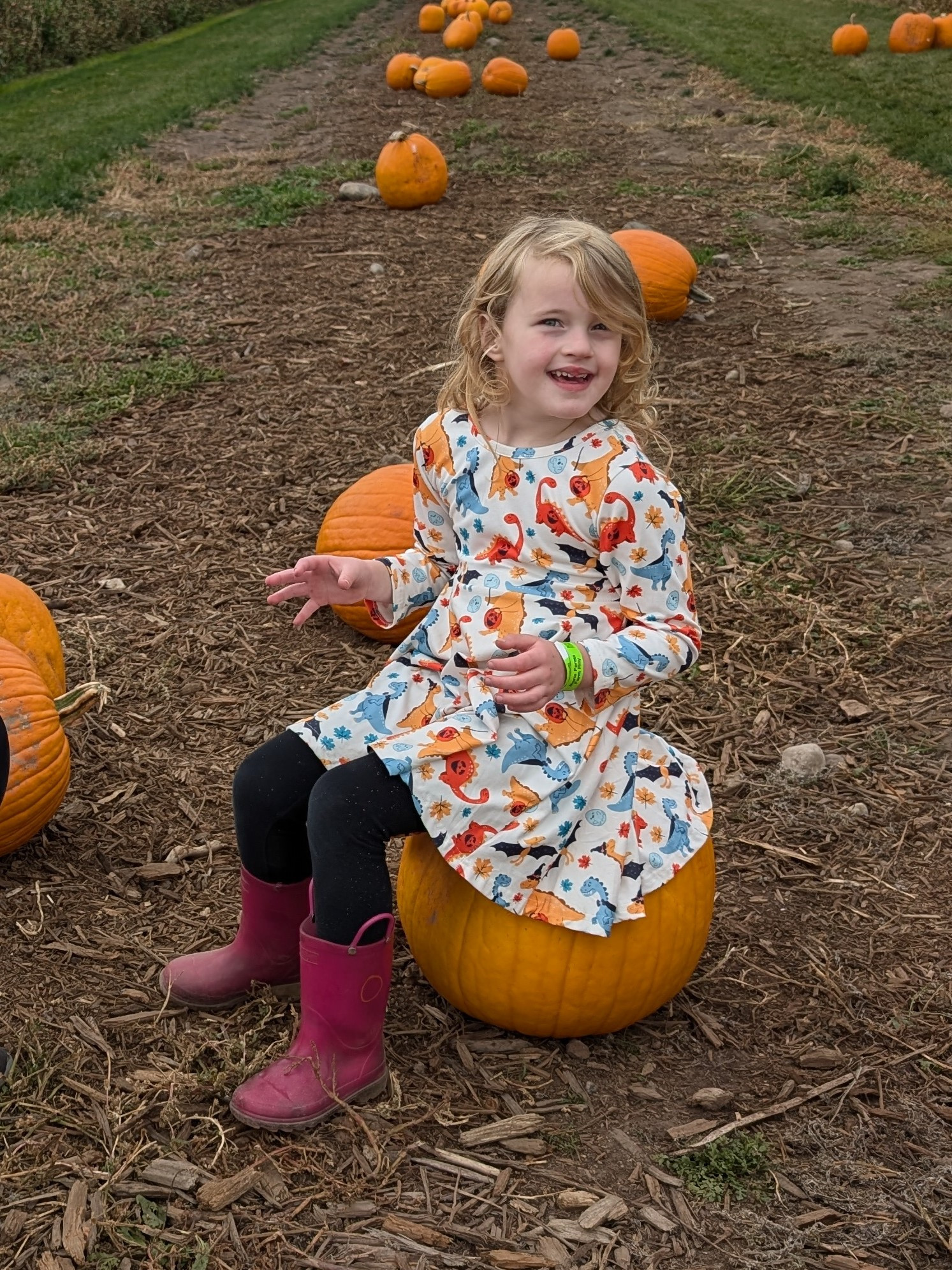 Olivia | Junior Ranger