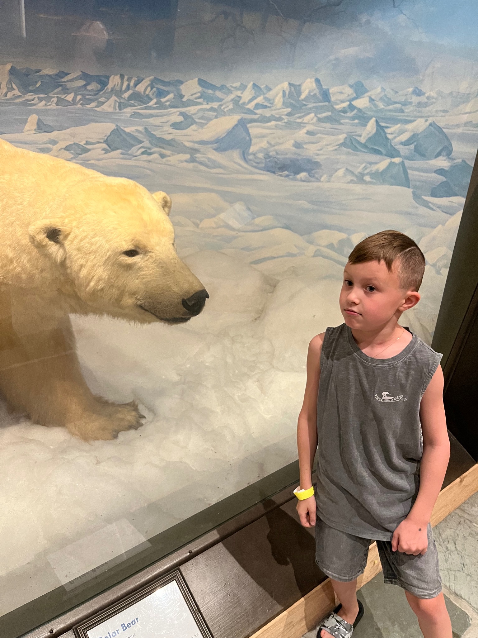 Connor | Junior Ranger