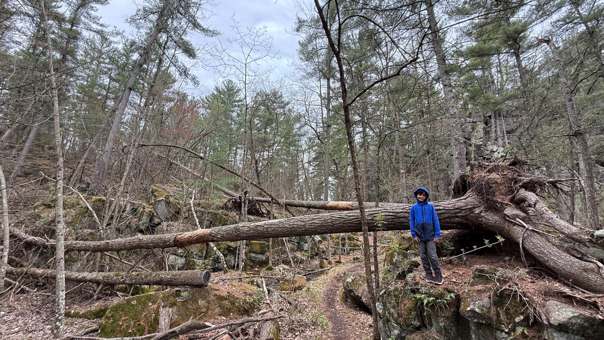 Rayyan | Junior Ranger