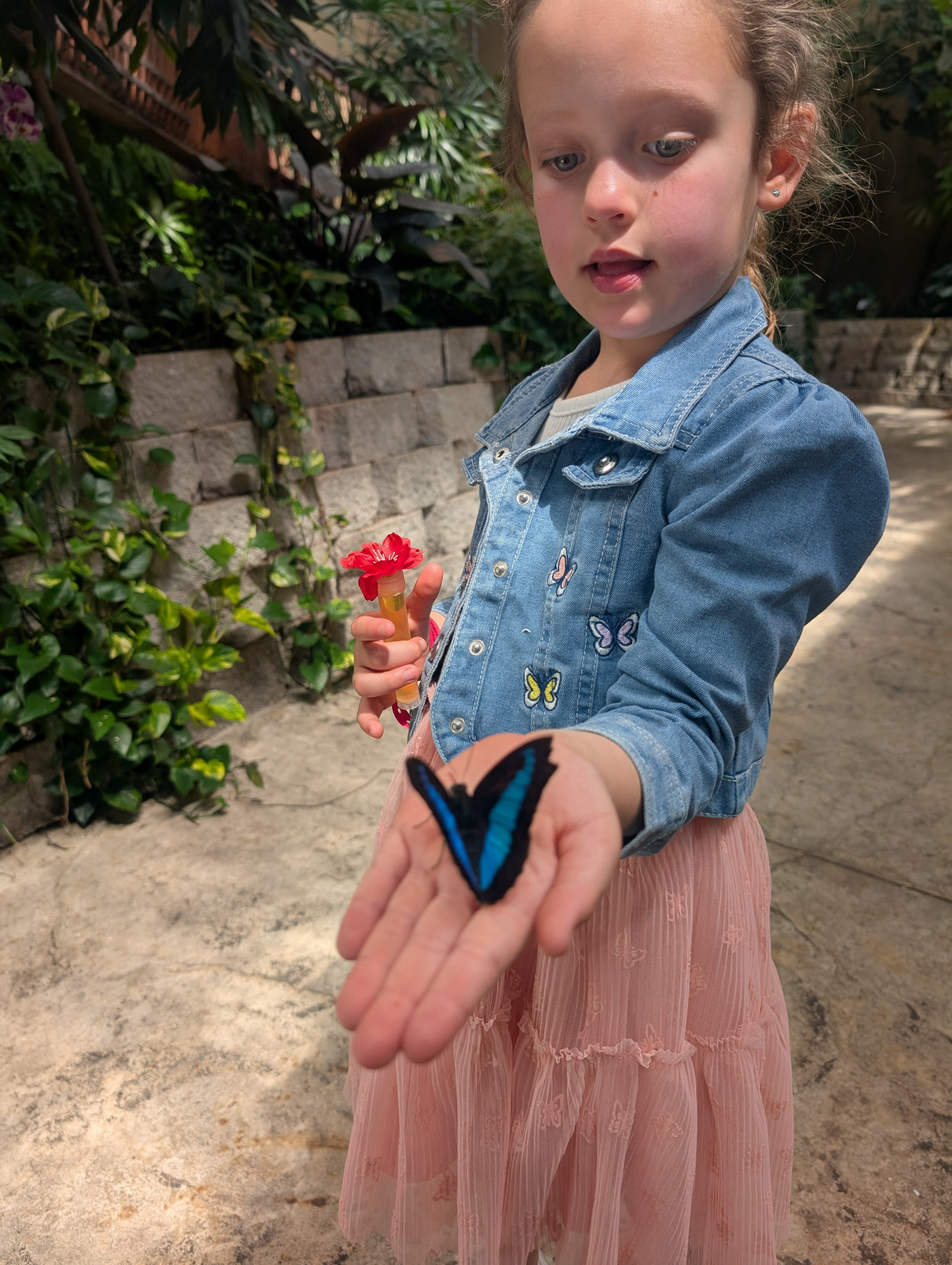 Hadley | Junior Ranger