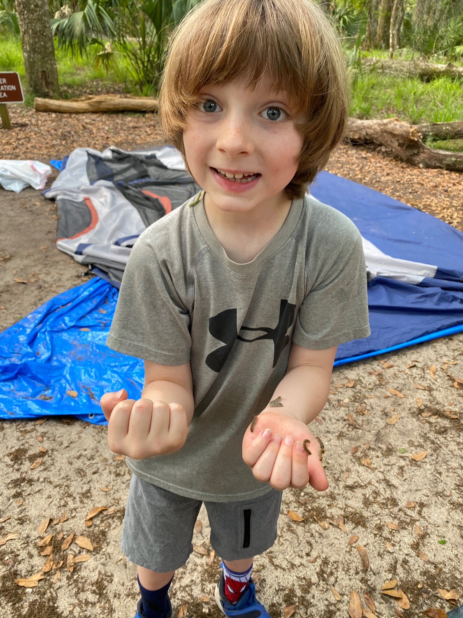 Mick | Junior Ranger