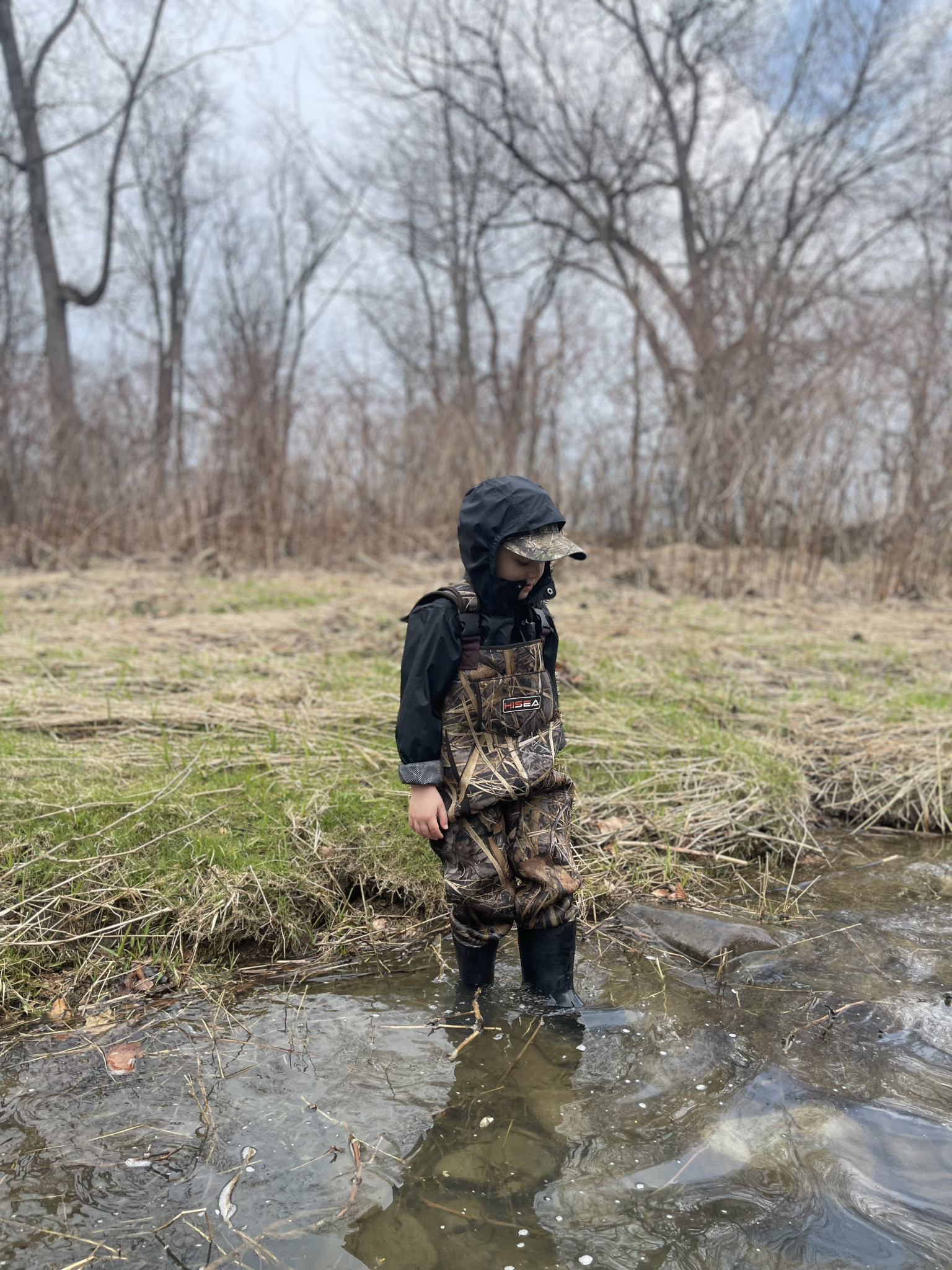 Arlo | Junior Ranger