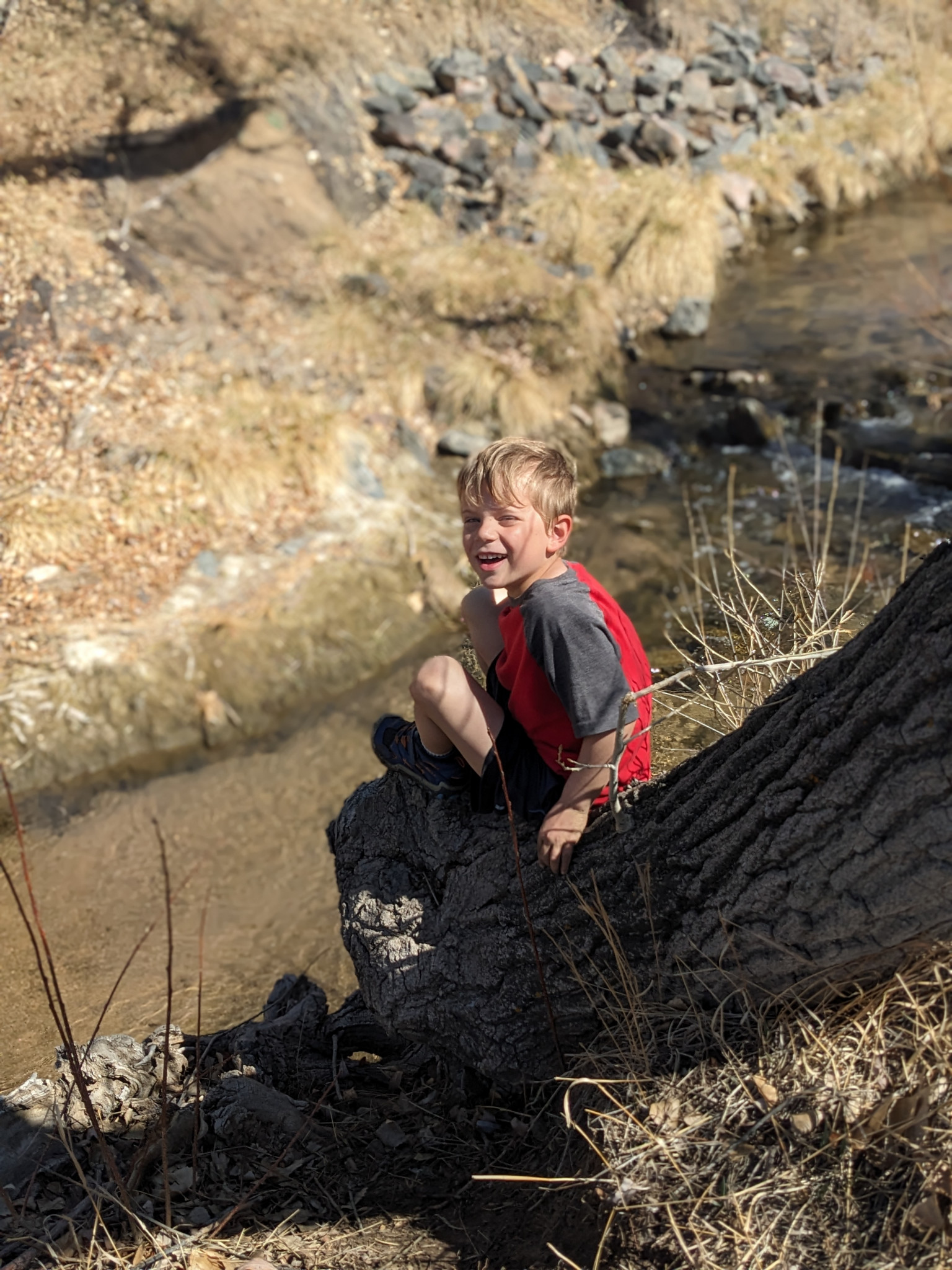 Apollo | Junior Ranger