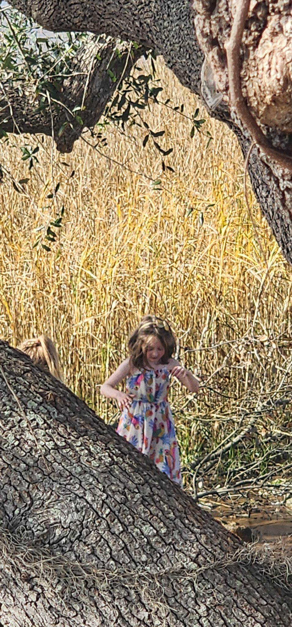 Juniper | Junior Ranger