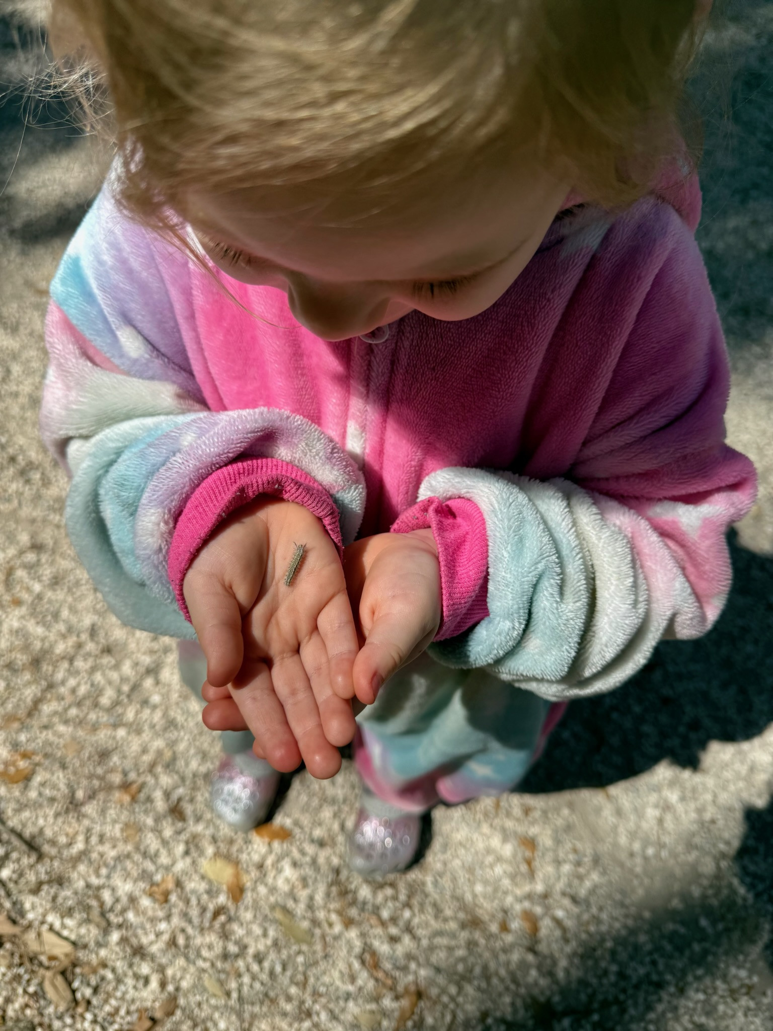 Lucy | Junior Ranger