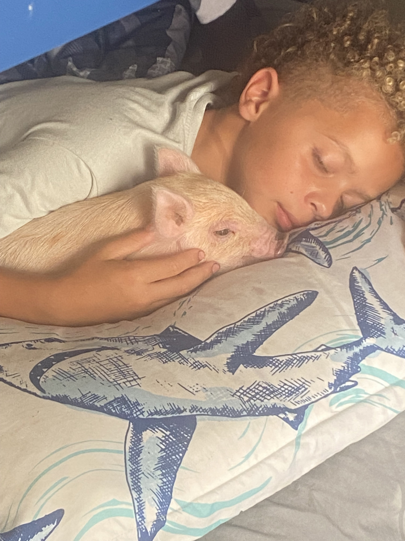 Jordan | Junior Ranger