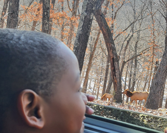 Jayden | Junior Ranger