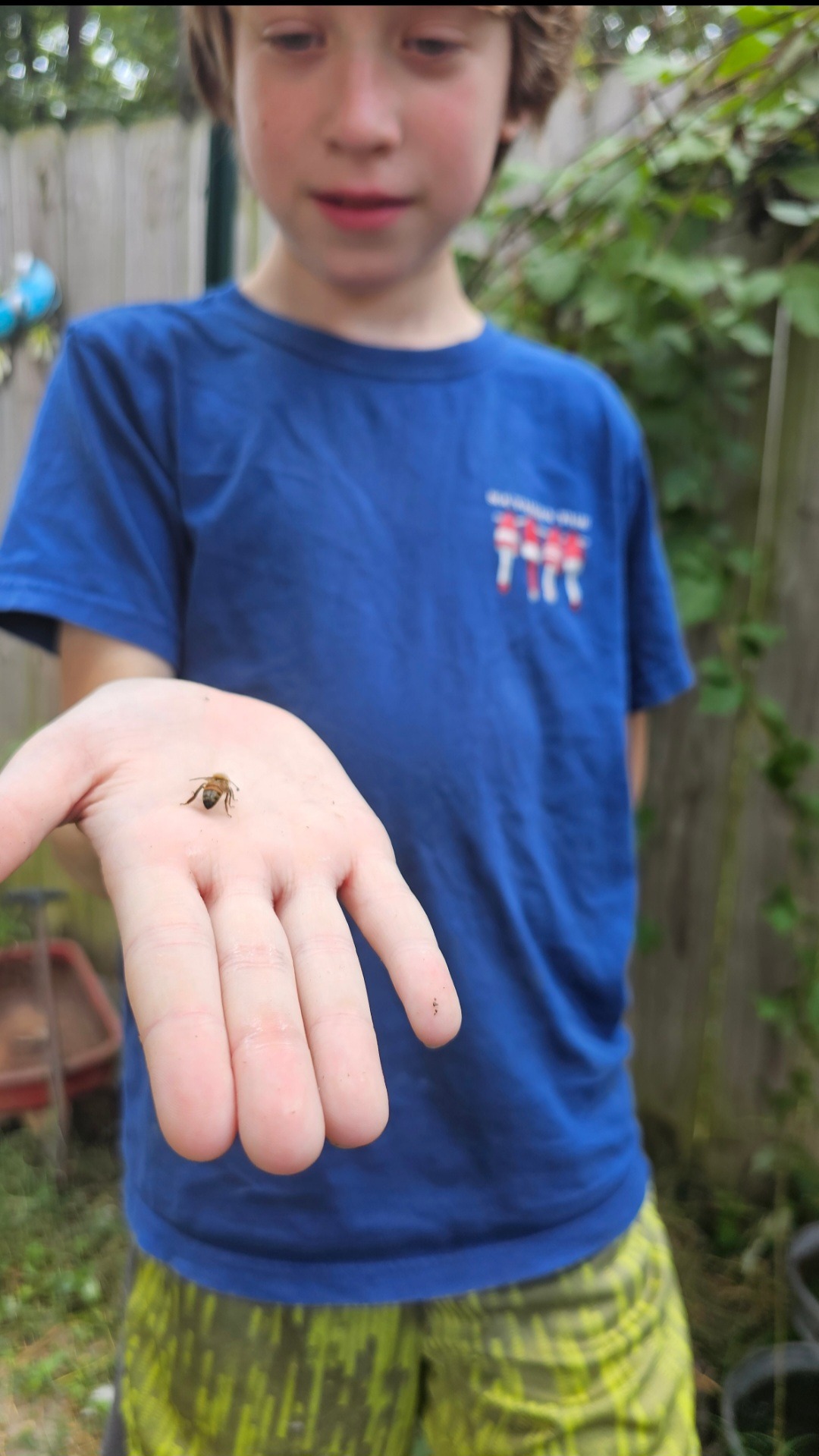 Benjamin | Junior Ranger