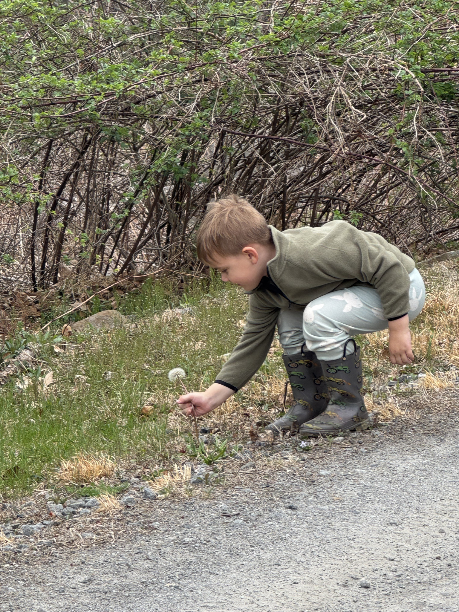 Ricky | Junior Ranger