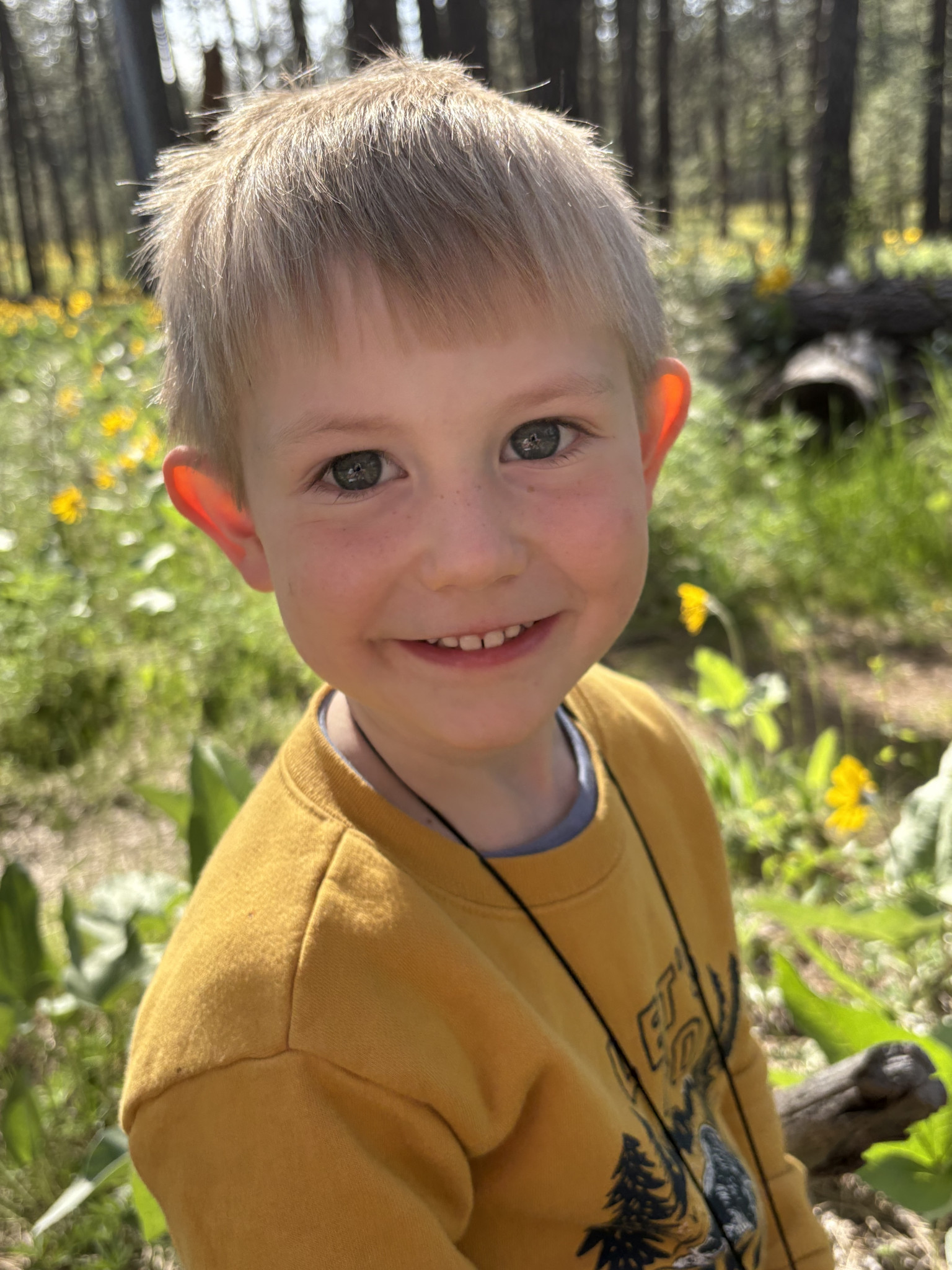 Nolan | Junior Ranger