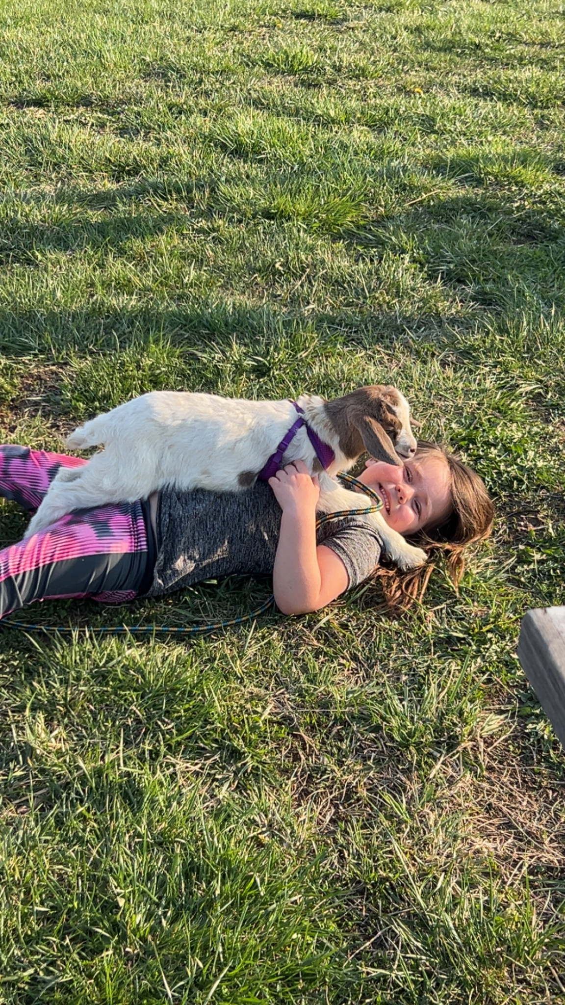 Isabelle | Junior Ranger