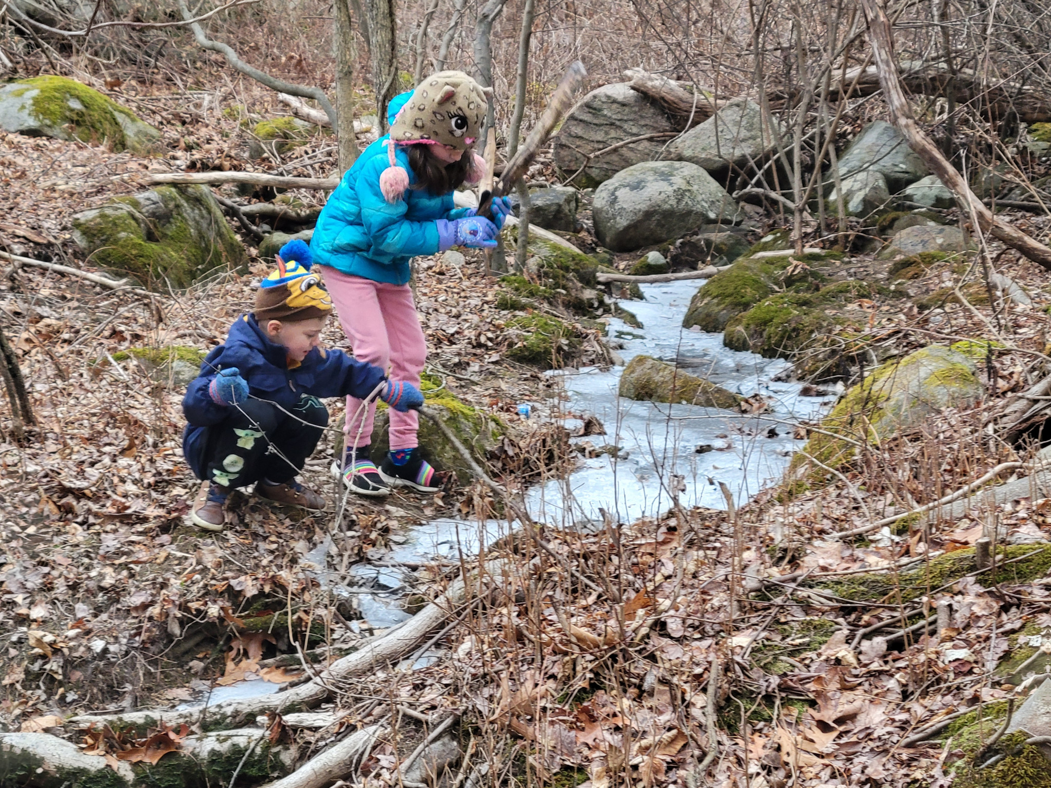 Daniel | Junior Ranger