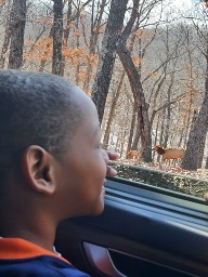 Jayden | Junior Ranger