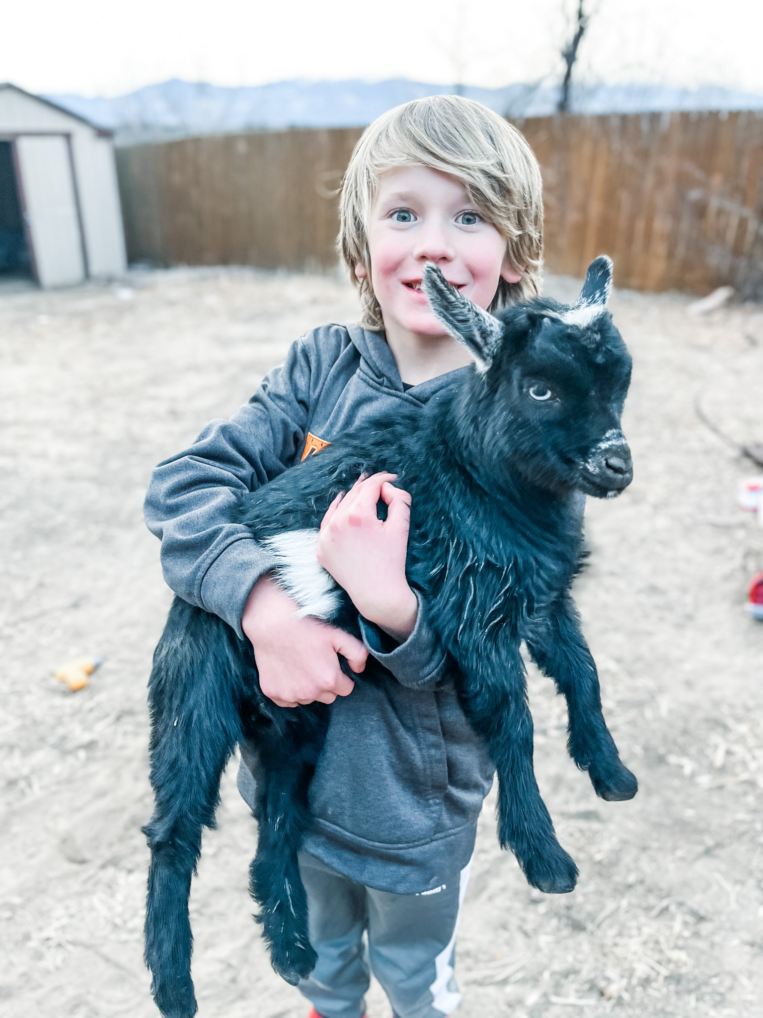 Liam | Junior Ranger