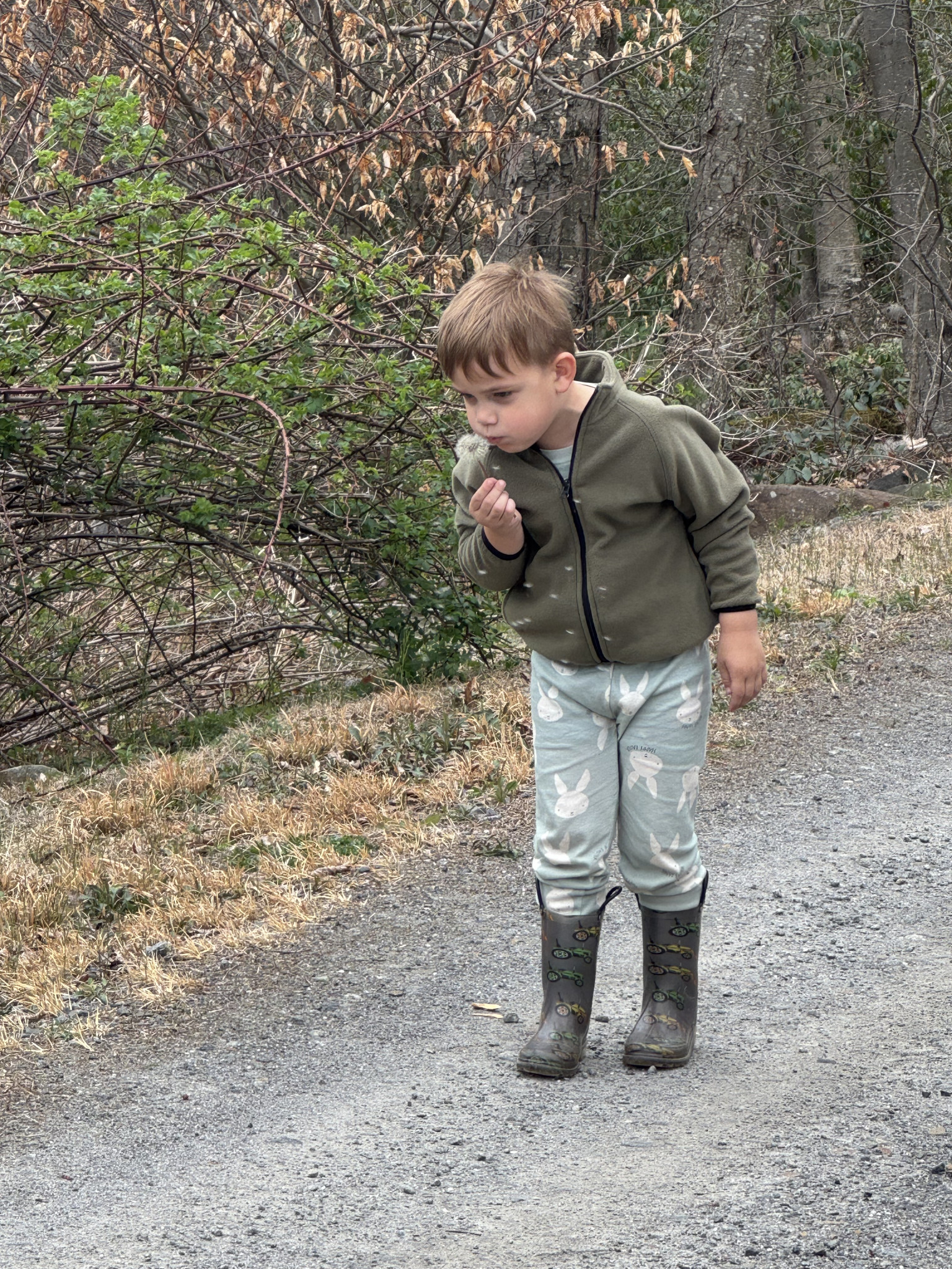 Ricky | Junior Ranger