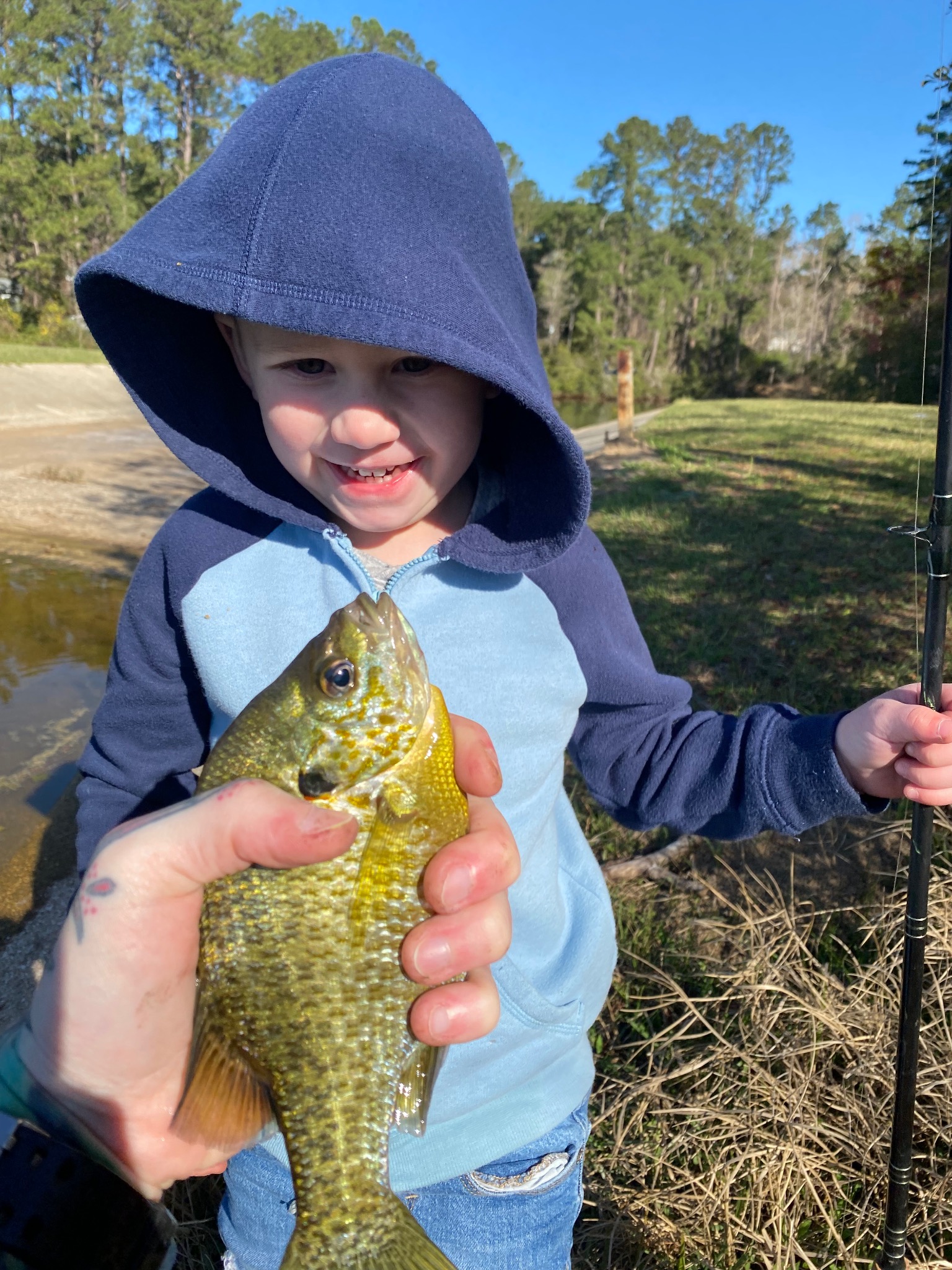 Forrest | Junior Ranger