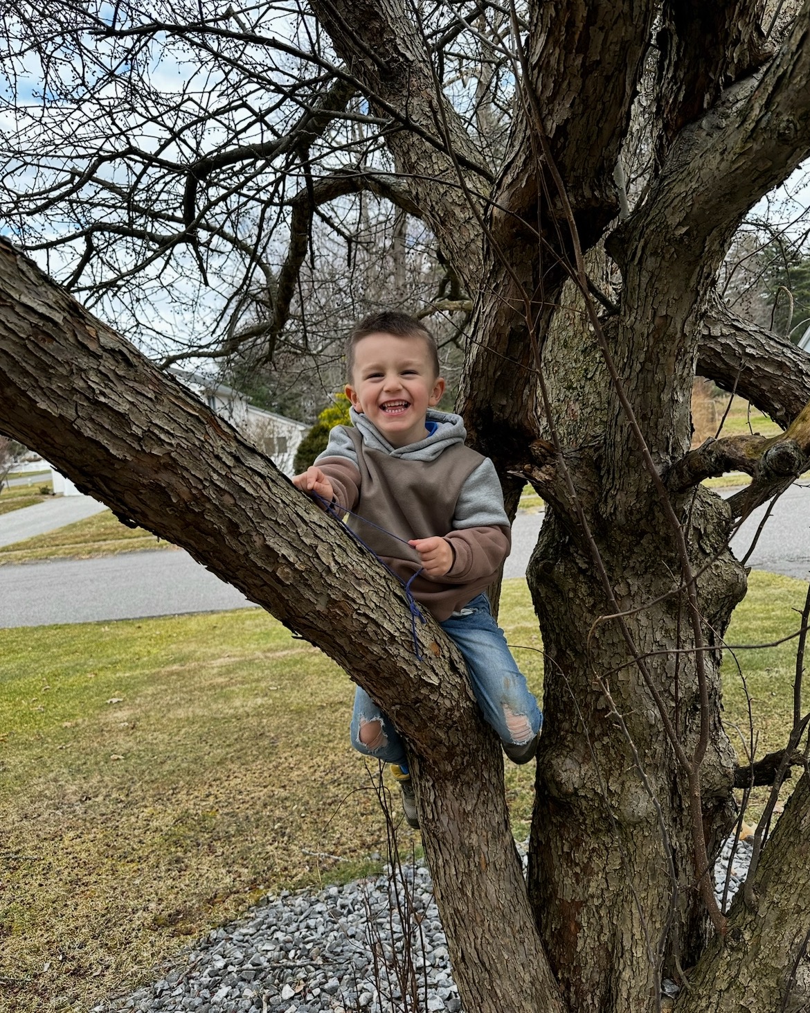 Sully | Junior Ranger