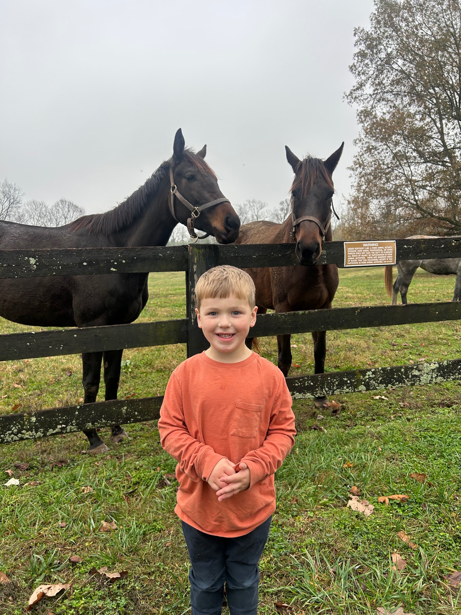 Aaron | Junior Ranger