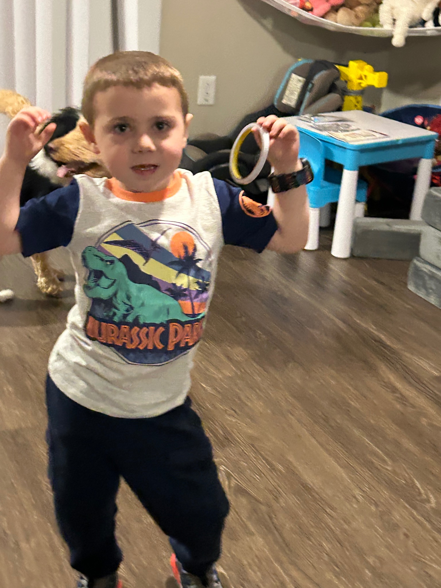 Archie | Junior Ranger