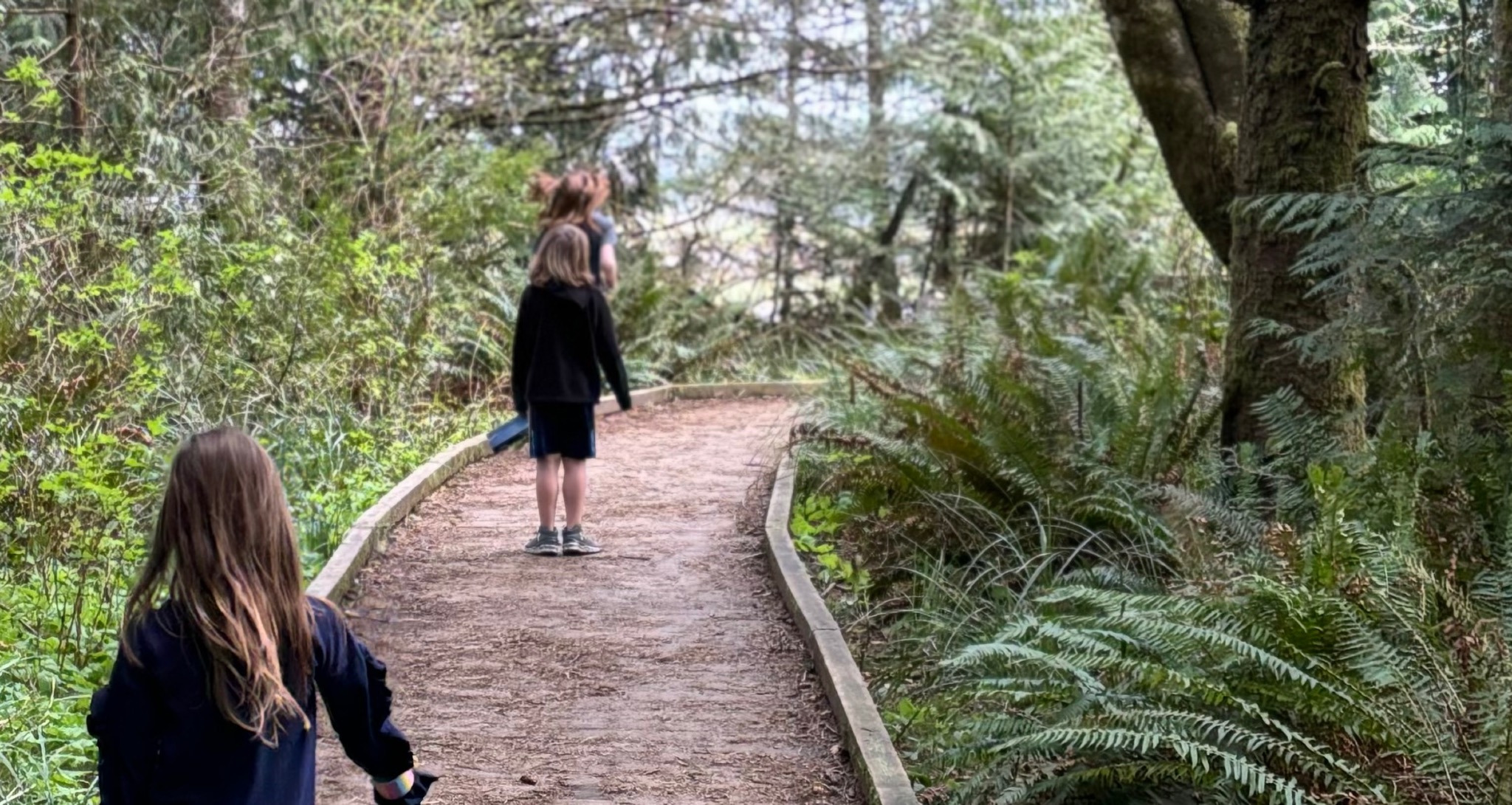 Liam | Junior Ranger