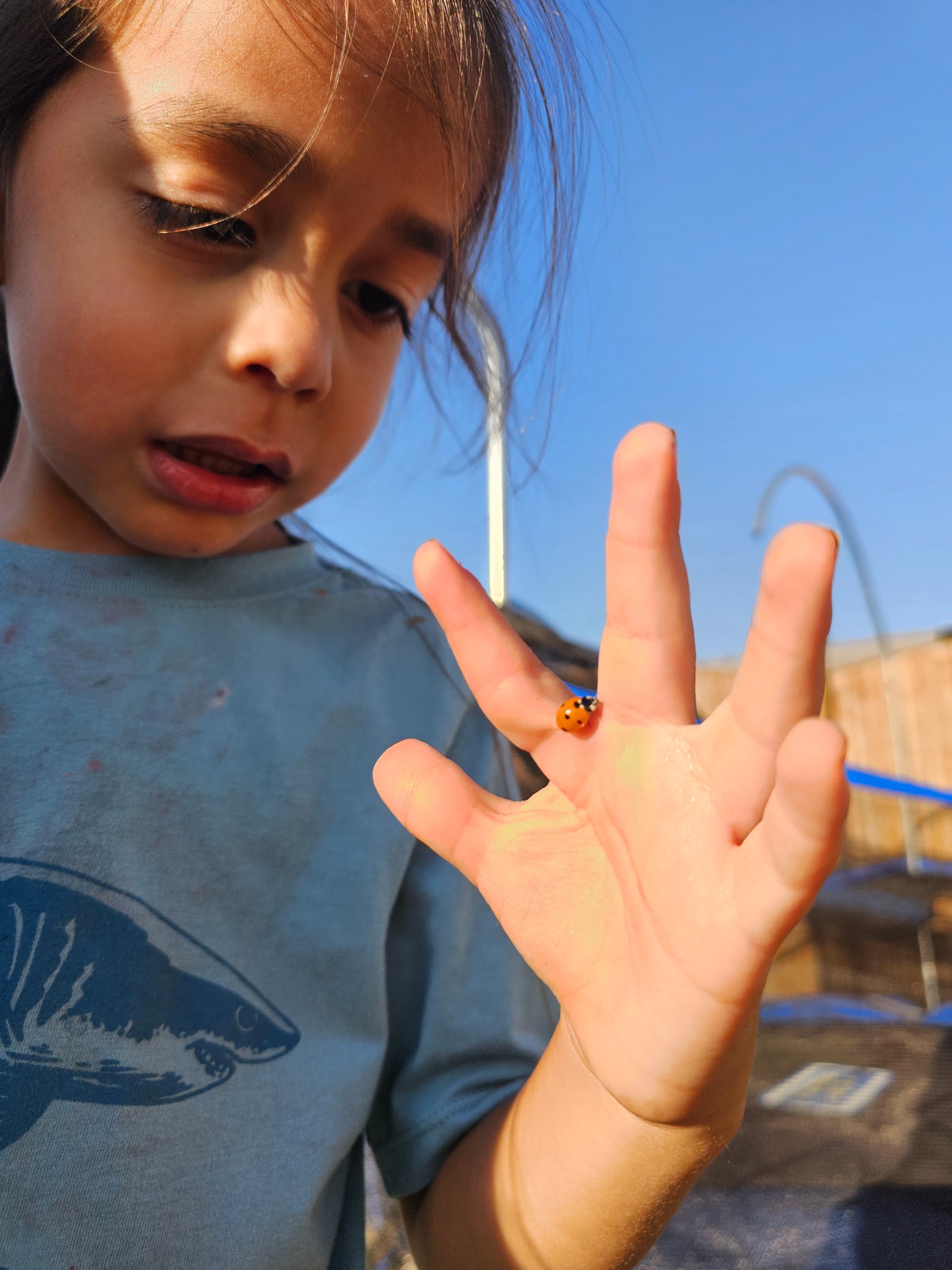 Levi | Junior Ranger