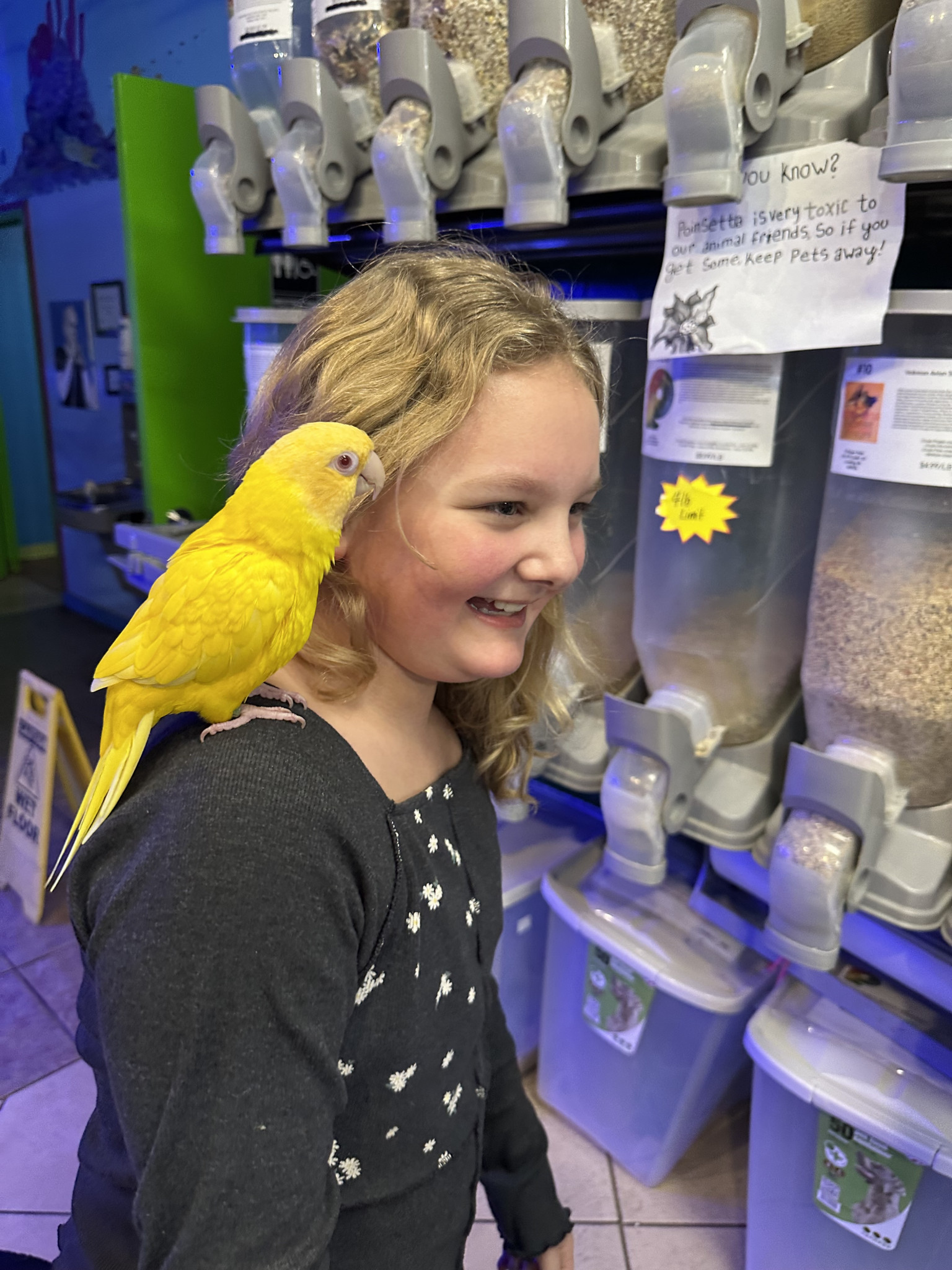 Morgan | Junior Ranger