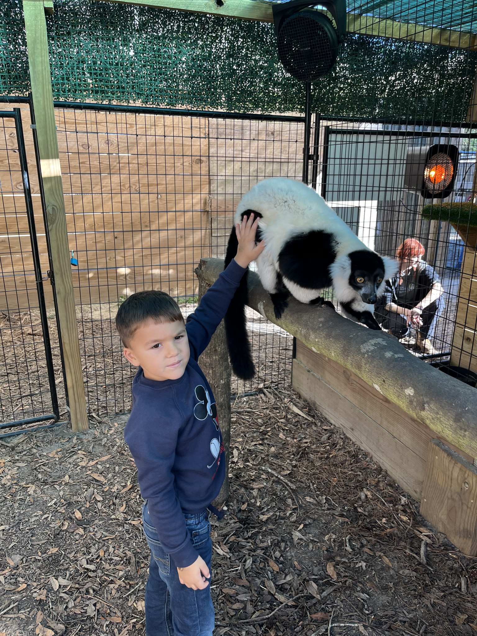 Stephen | Junior Ranger