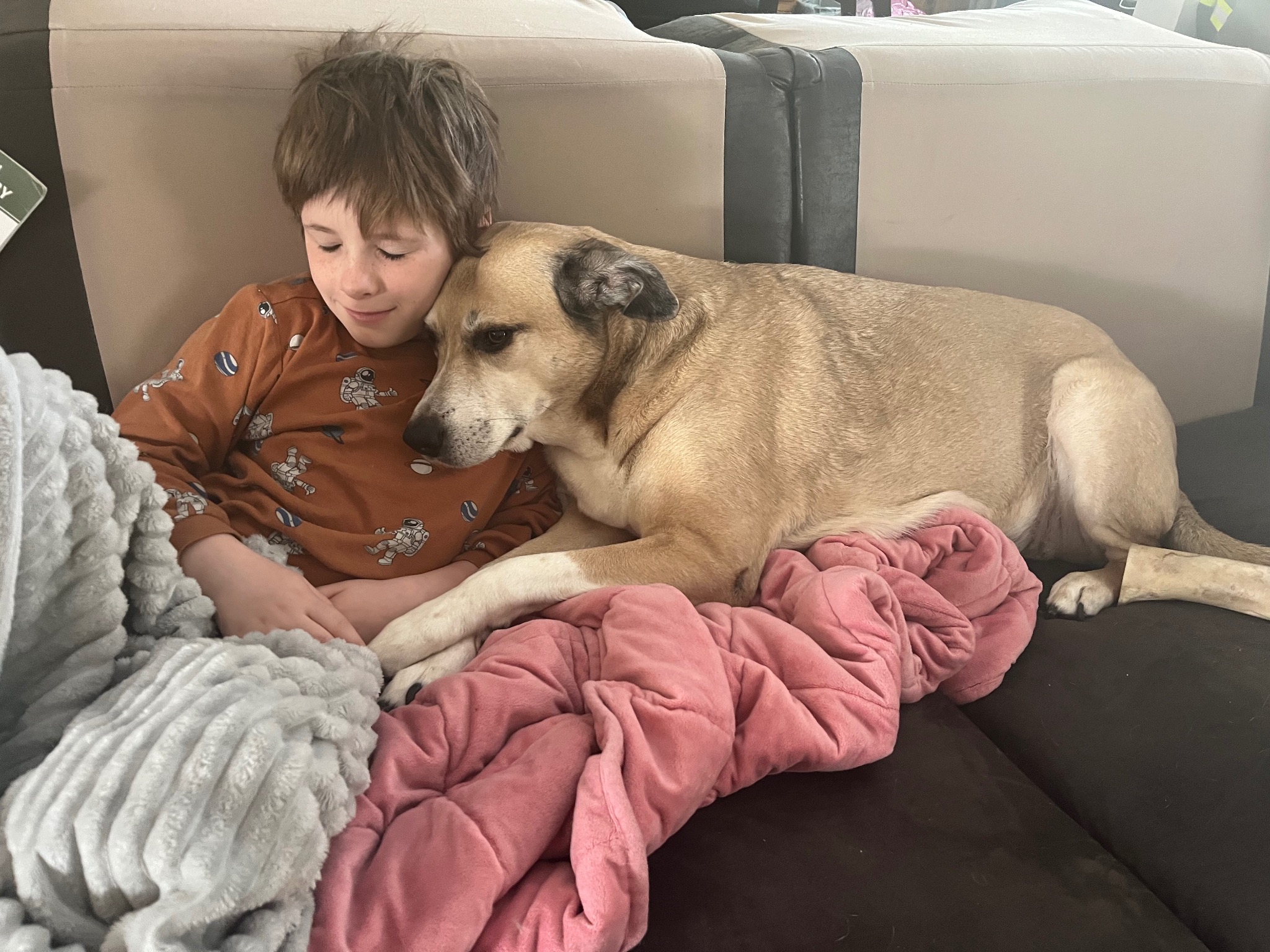 Deklan | Junior Ranger