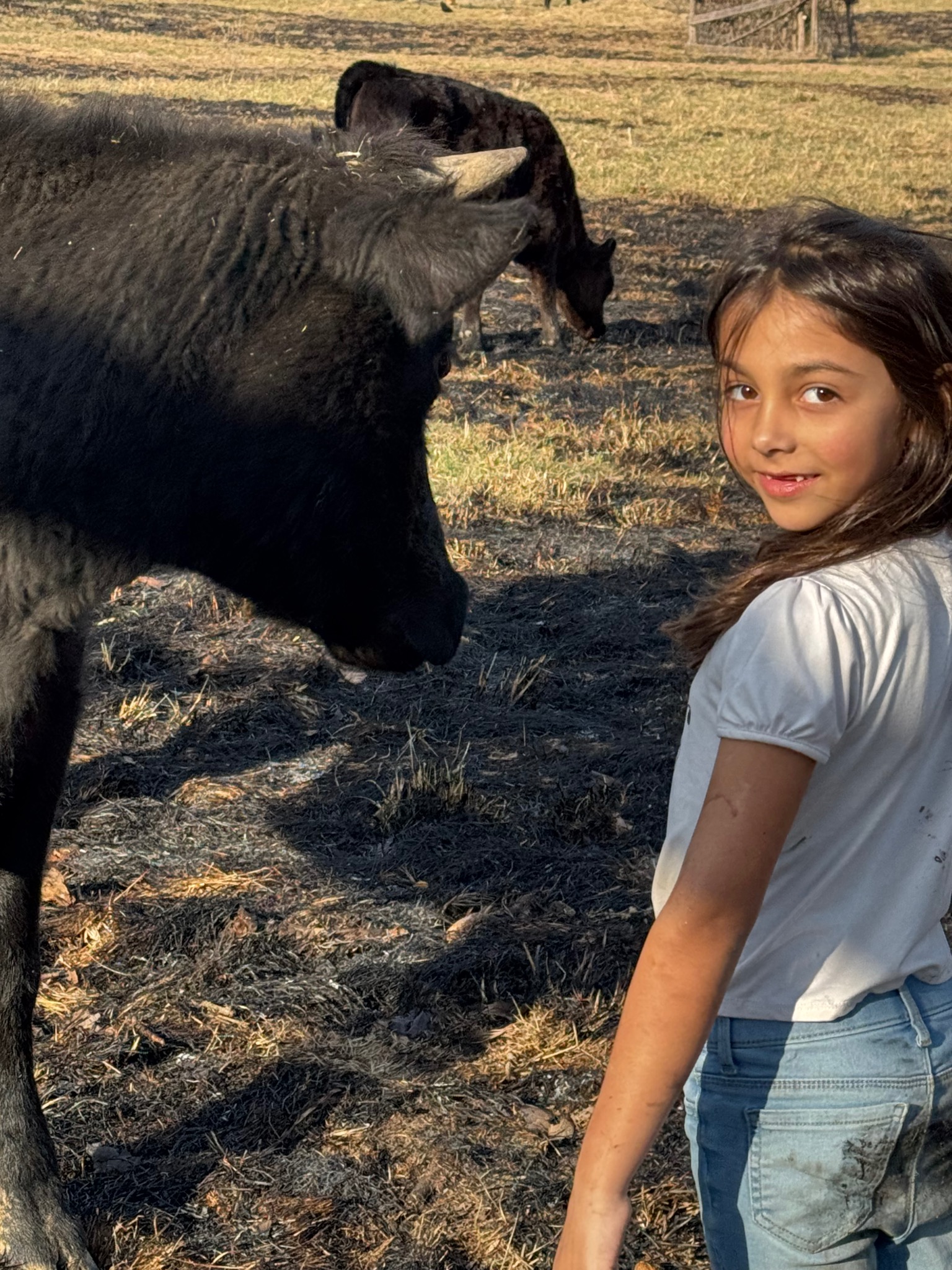 Kendall | Junior Ranger